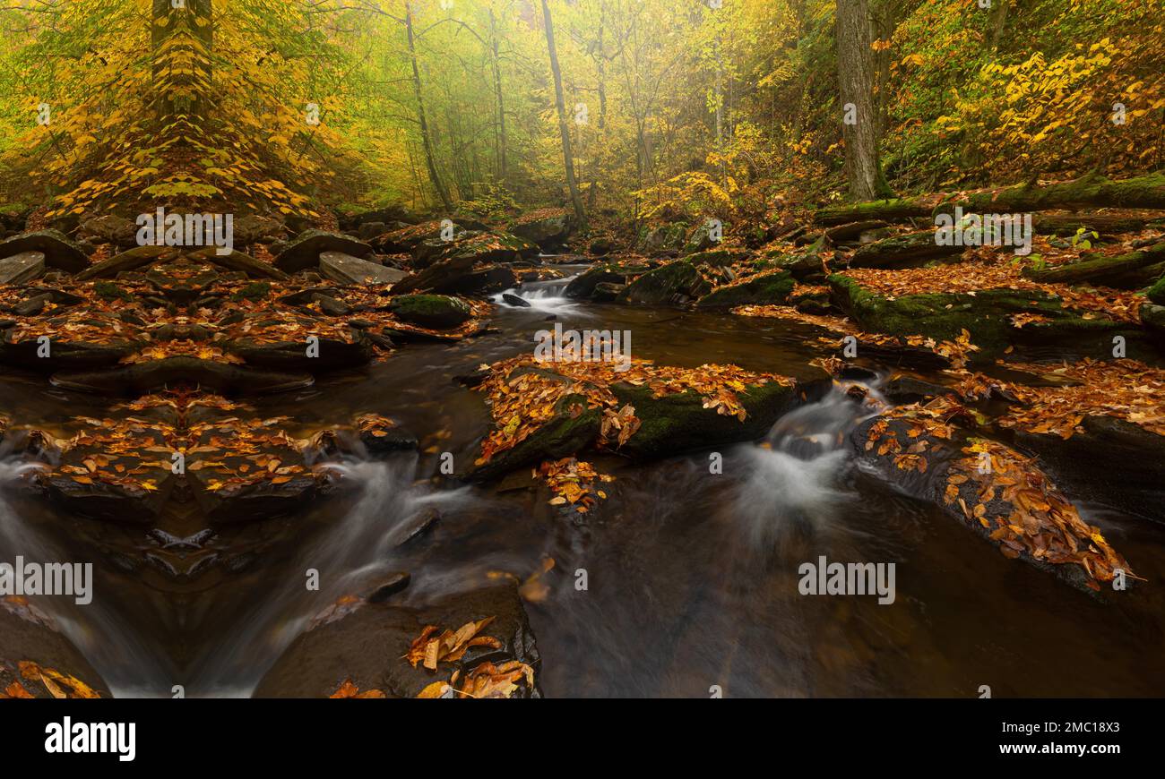 Fluss mit Wasserfall versteckt im Regenwald, kleiner Wasserfall ...