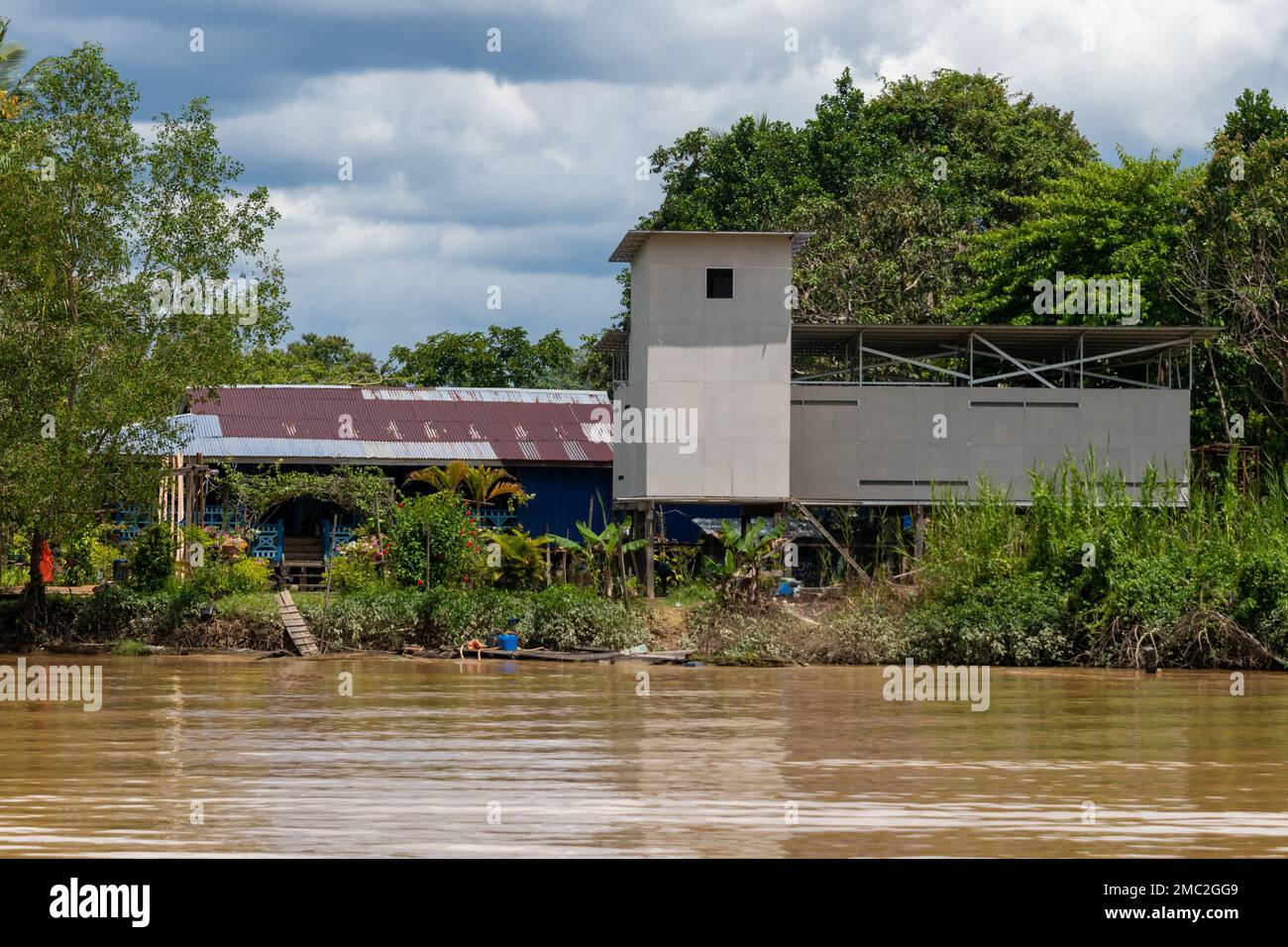 Swiftlet nest -Fotos und -Bildmaterial in hoher Auflösung – Alamy