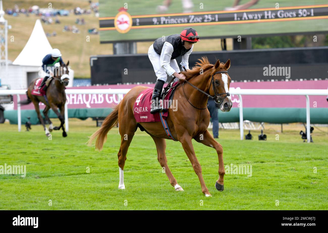 Jockey ryan moore auf kyprios -Fotos und -Bildmaterial in hoher Auflösung – Alamy