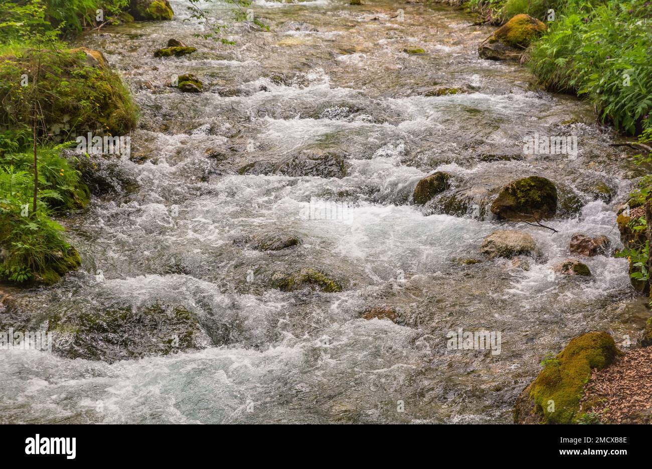 Teich von tovel -Fotos und -Bildmaterial in hoher Auflösung – Alamy