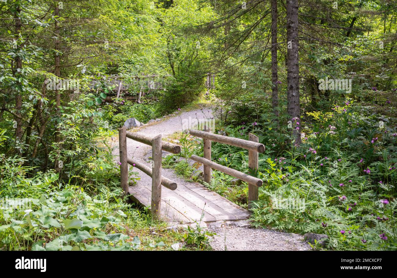 Teich von tovel -Fotos und -Bildmaterial in hoher Auflösung – Alamy