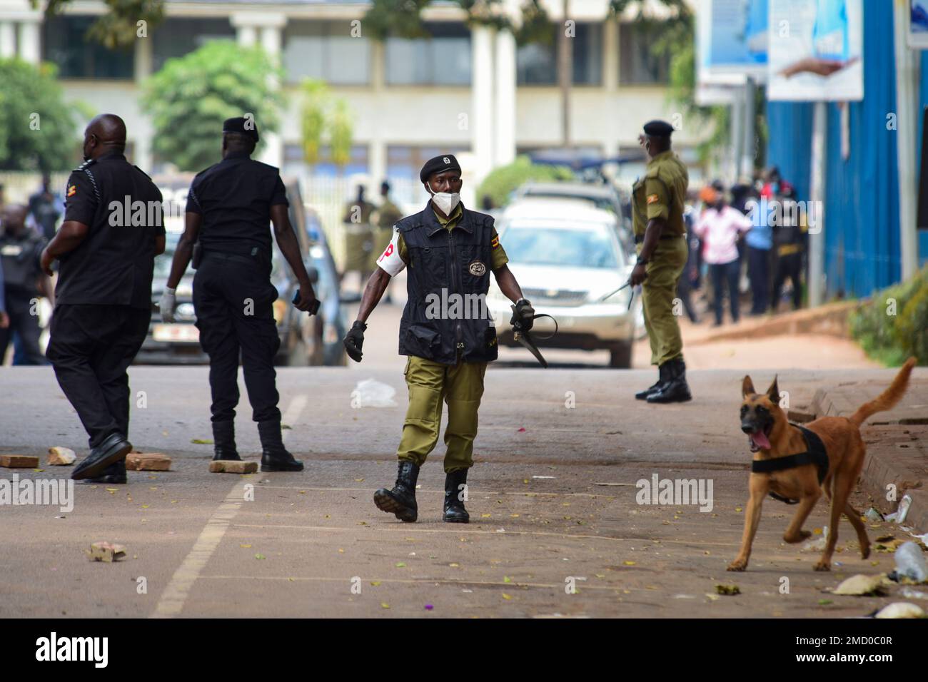 A police officer walks behind a sniffer dog as it searches a street ...