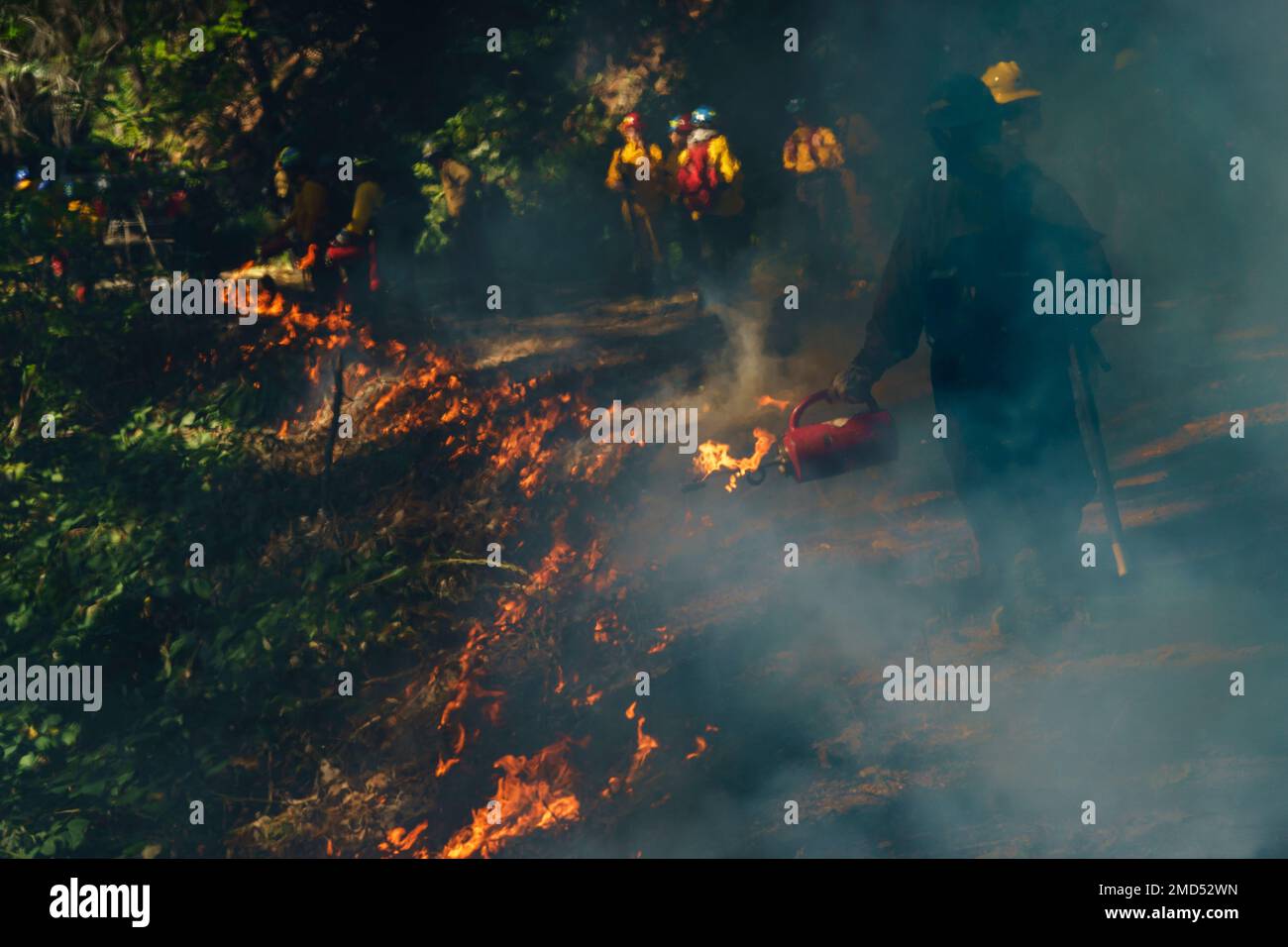 A torch is used to set fire to a parcel of land for a cultural training ...