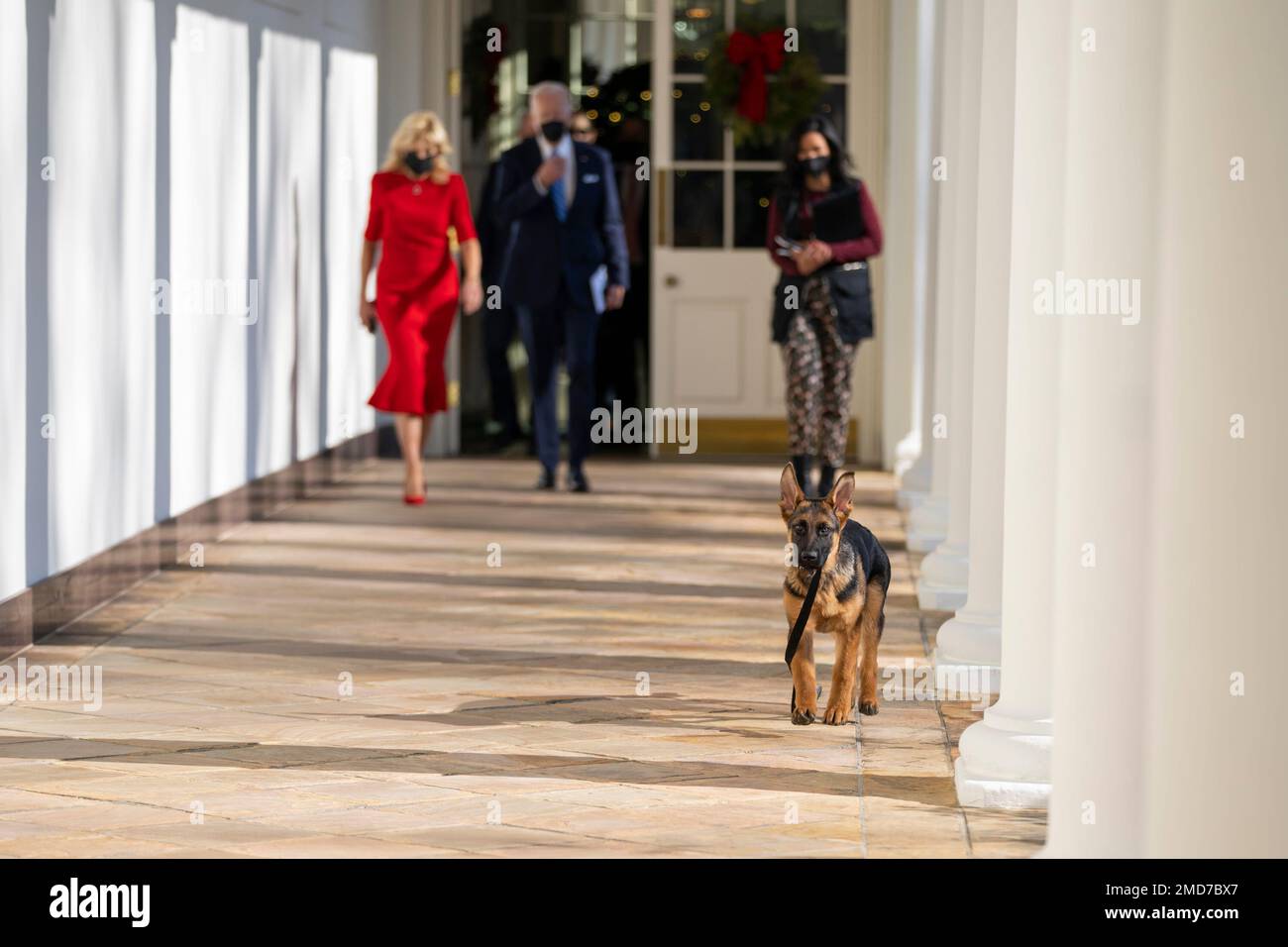 Tragen eine maske im freienjoe biden und first lady jill biden -Fotos ... Tragen eine maske im freienjoe biden und first lady jill biden -Fotos ...