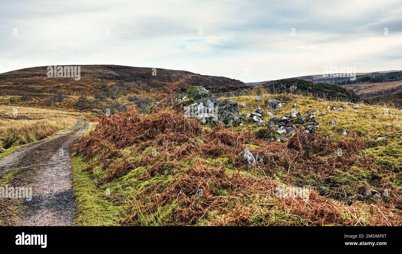 Tulloch turnal broch -Fotos und -Bildmaterial in hoher Auflösung – Alamy