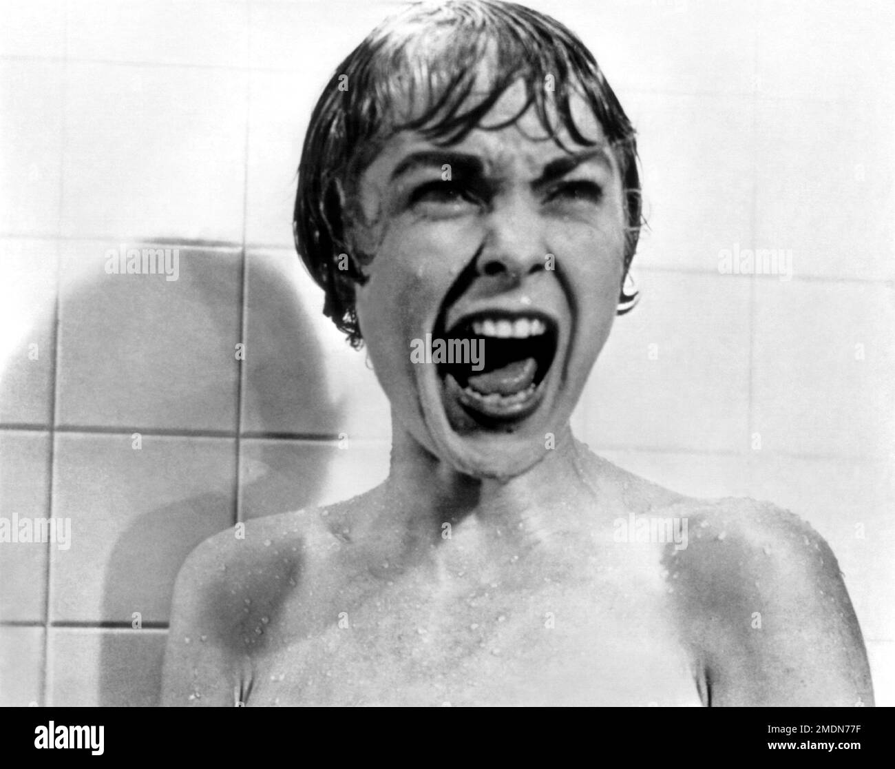 Psycho 1960 Janet Leigh Fotos Und Bildmaterial In Hoher Auflösung Alamy