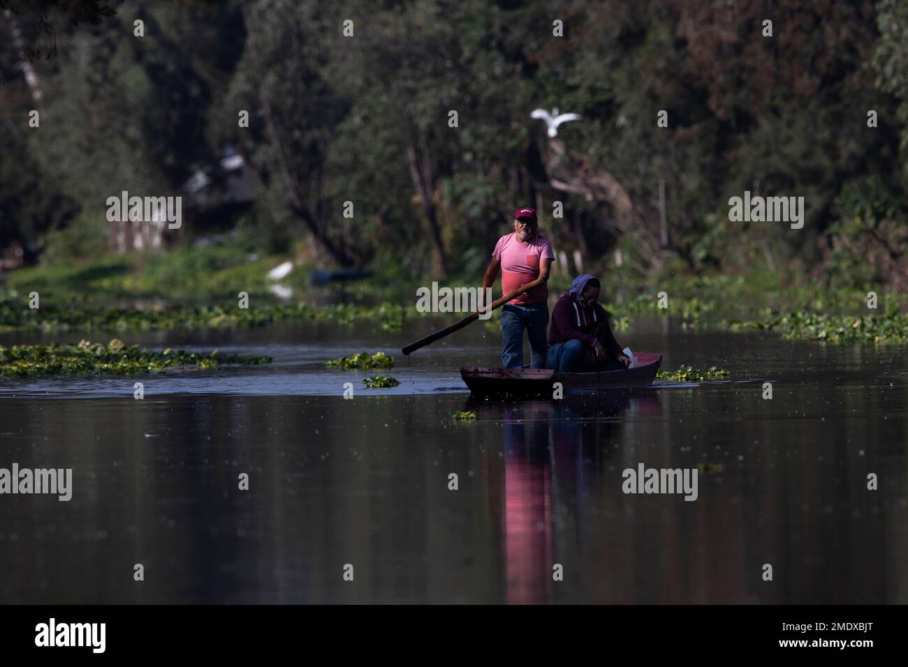 A farmer uses a pole to move his canoe to his floating farm known as ...
