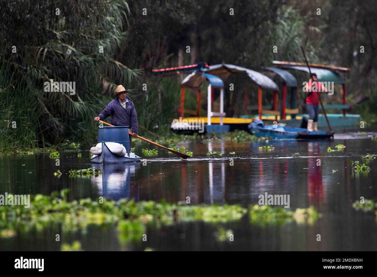 A farmer uses a pole to move his canoe to his floating farm known as ...