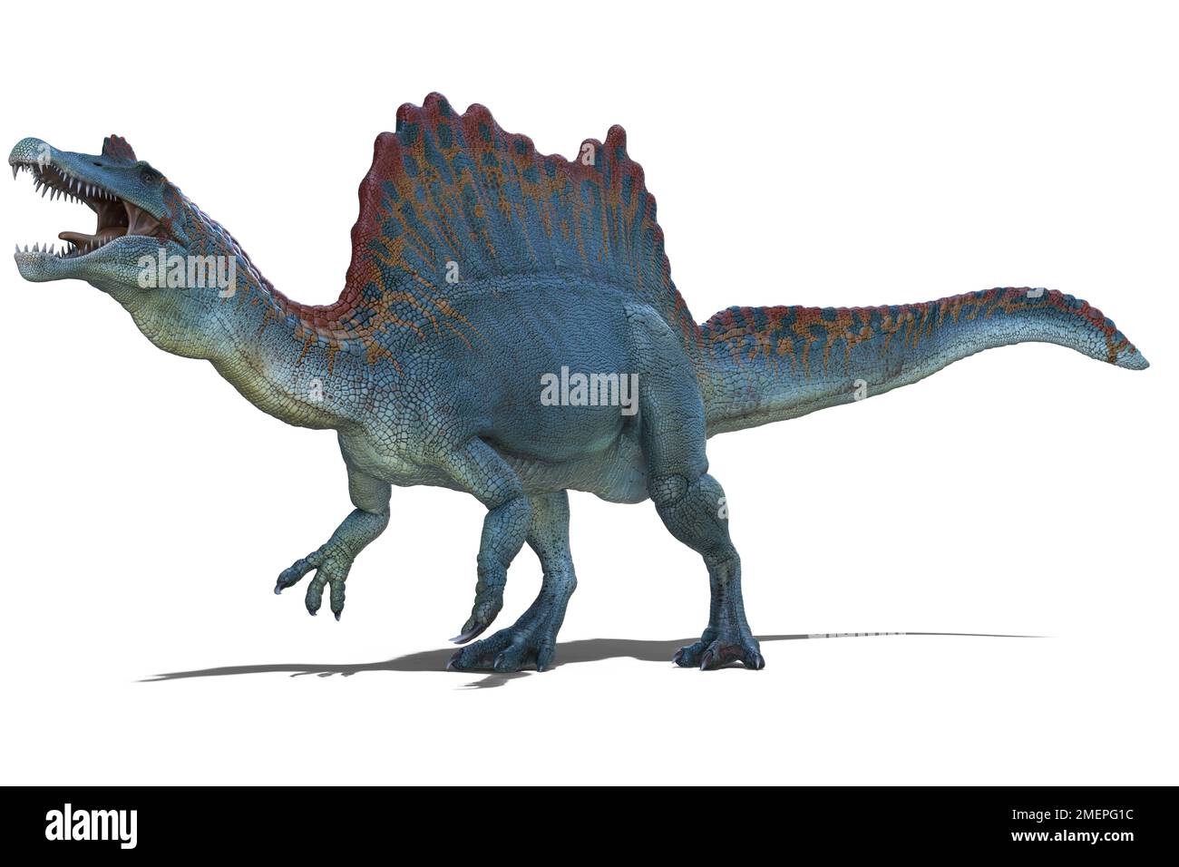 Spinosaurus drawing -Fotos und -Bildmaterial in hoher Auflösung – Alamy