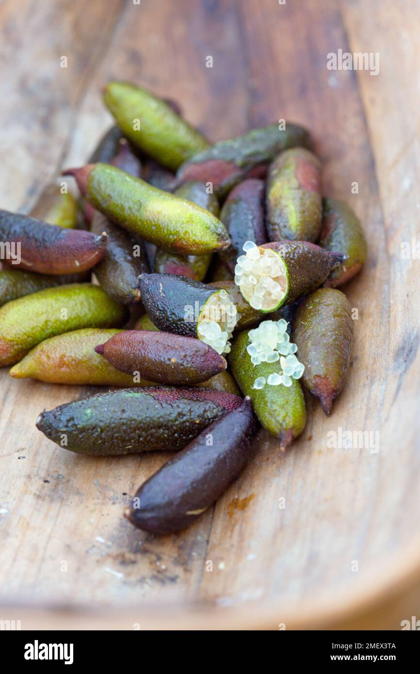 Lime production -Fotos und -Bildmaterial in hoher Auflösung – Alamy