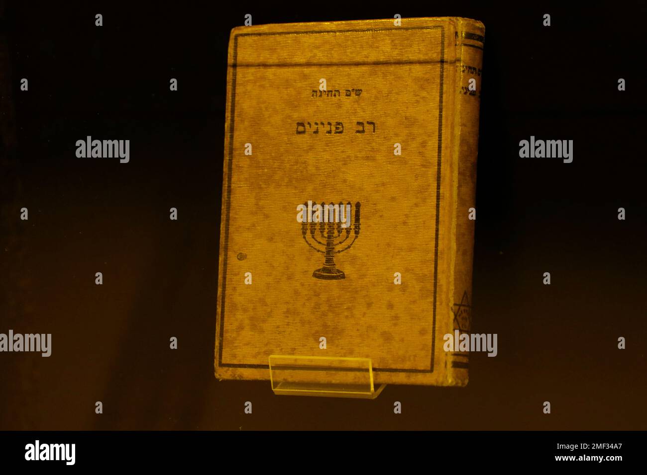 Nazism symbol -Fotos und -Bildmaterial in hoher Auflösung – Alamy