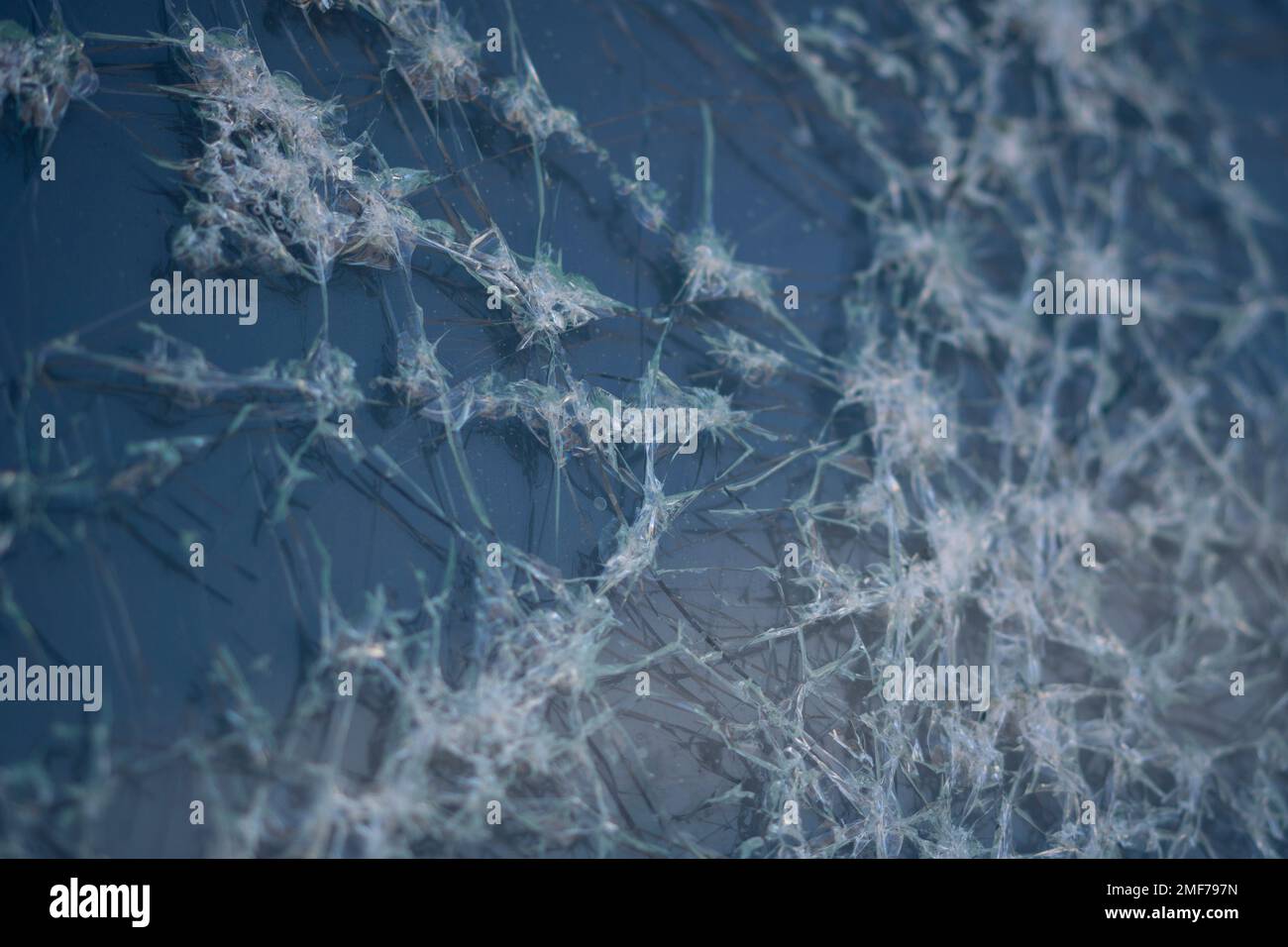 A detail of the installation "Vice President Kamala Harris Glass ...