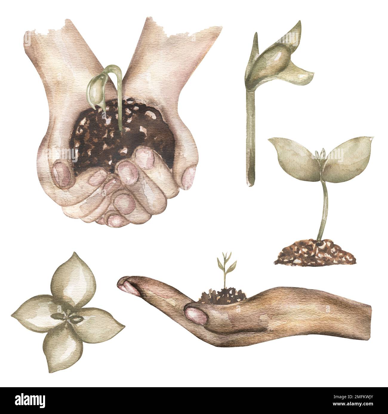 Gartenarbeit Cliparts, Aquarell vintage Pflanzung Zeit DIY Clip Art, Pflanzen Lebenszyklus ...