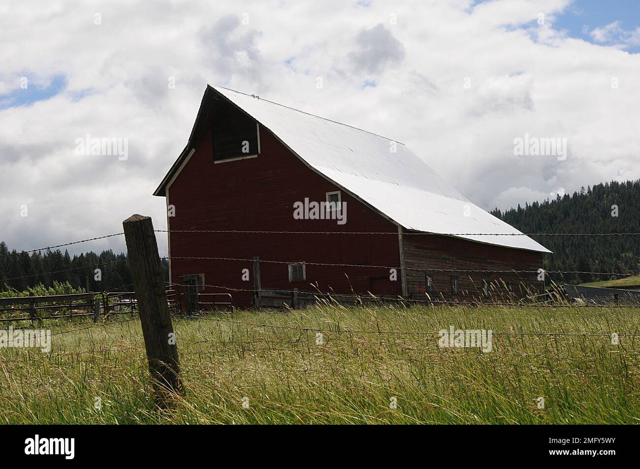 Süd-Idaho/Nez Perce County/Idaho/USA 23. Juni 2018. . Leben und ...