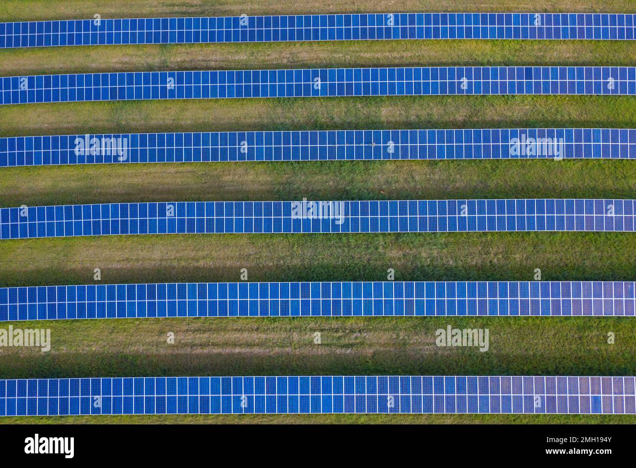 Luftaufnahme der Solarpaneele des Photovoltaik-Kraftwerks/Solarparks ...