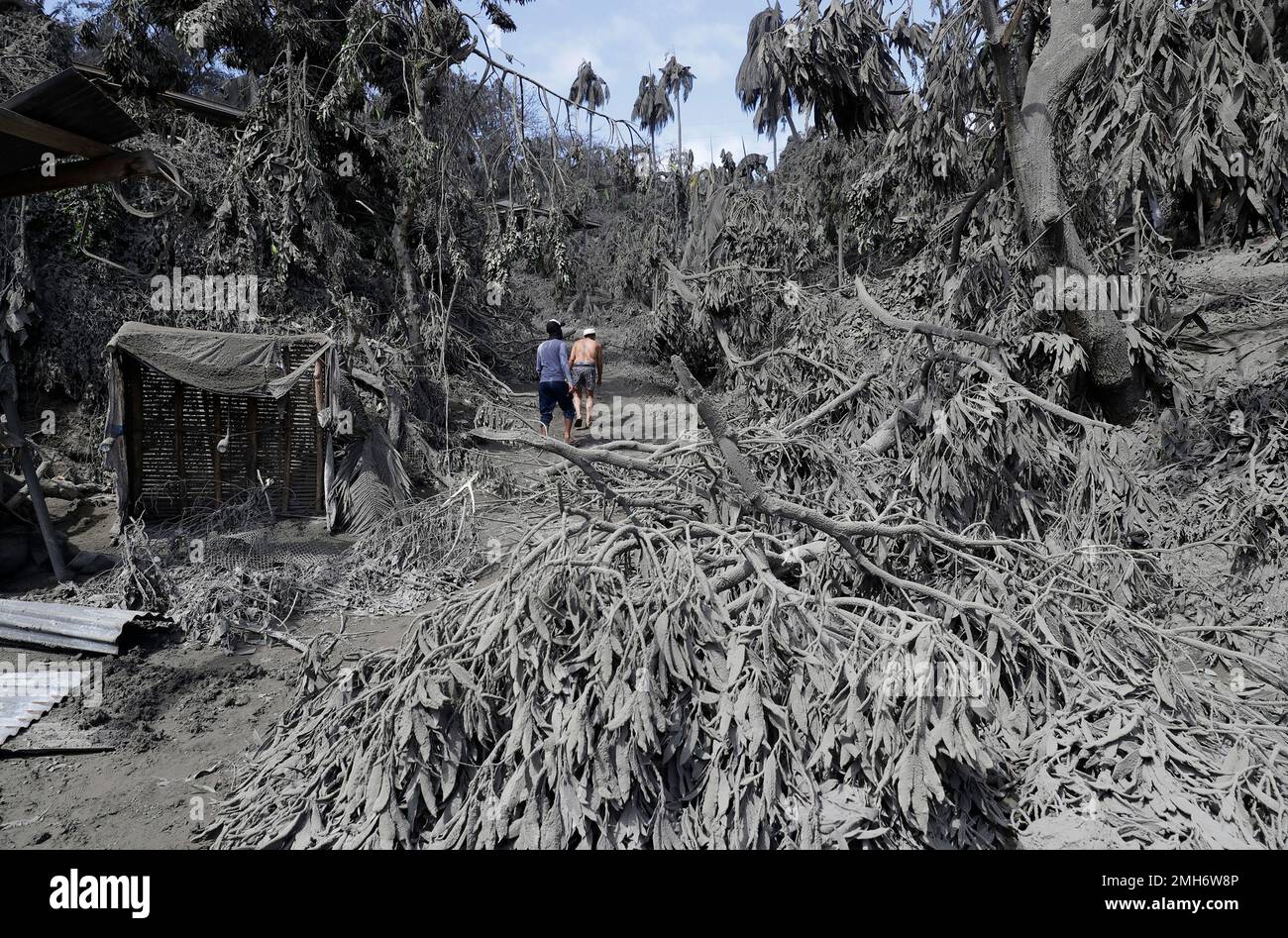 In this Jan. 14, 2020, photo, residents walk at their volcanic ash ...