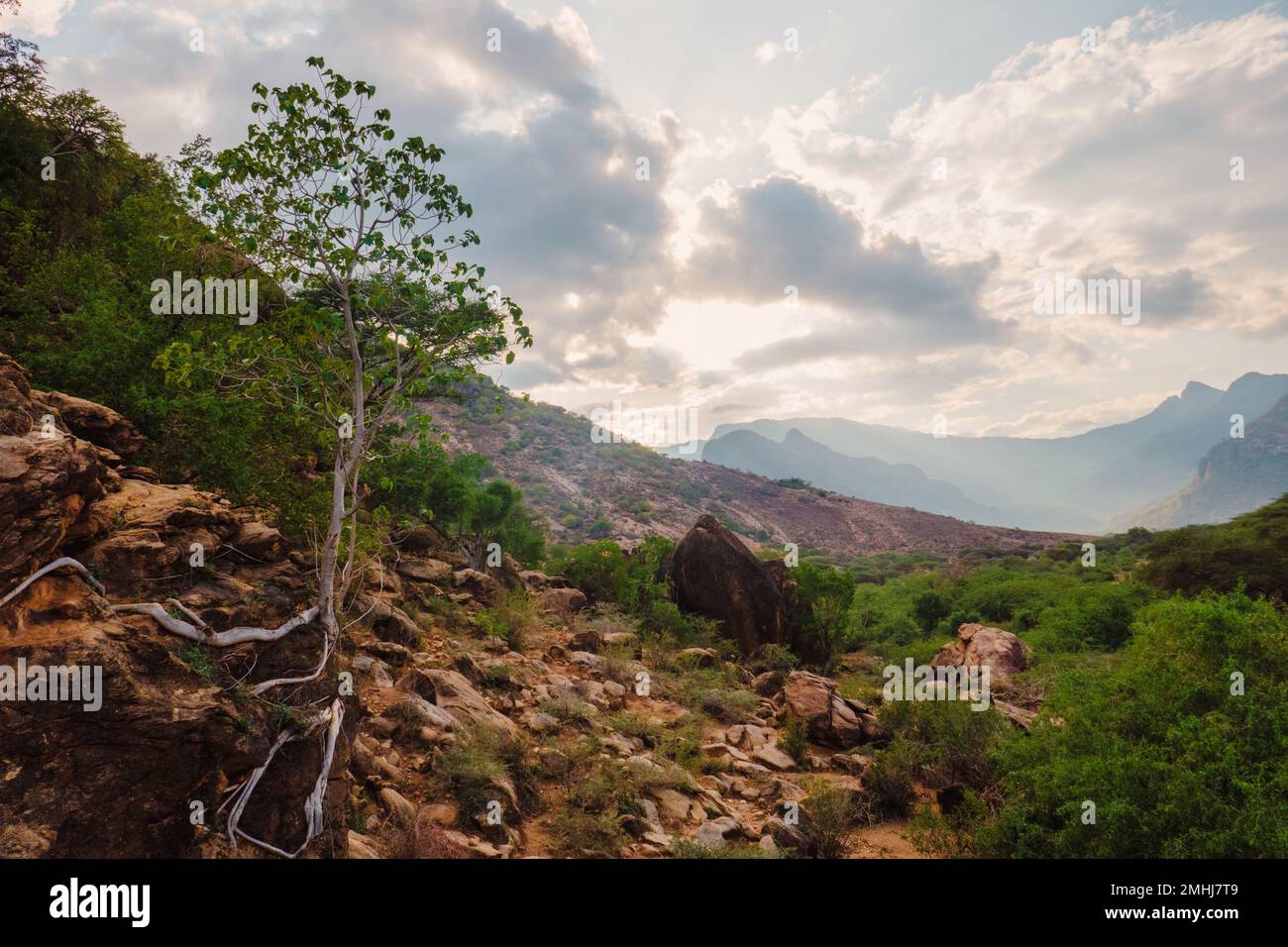 Ndoto mountains -Fotos und -Bildmaterial in hoher Auflösung – Alamy