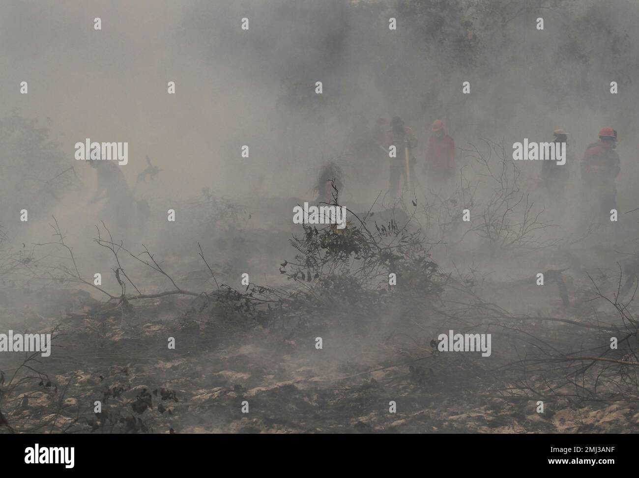 Firefighters spray water to extinguish a forest fire in Kampar, Riau ...