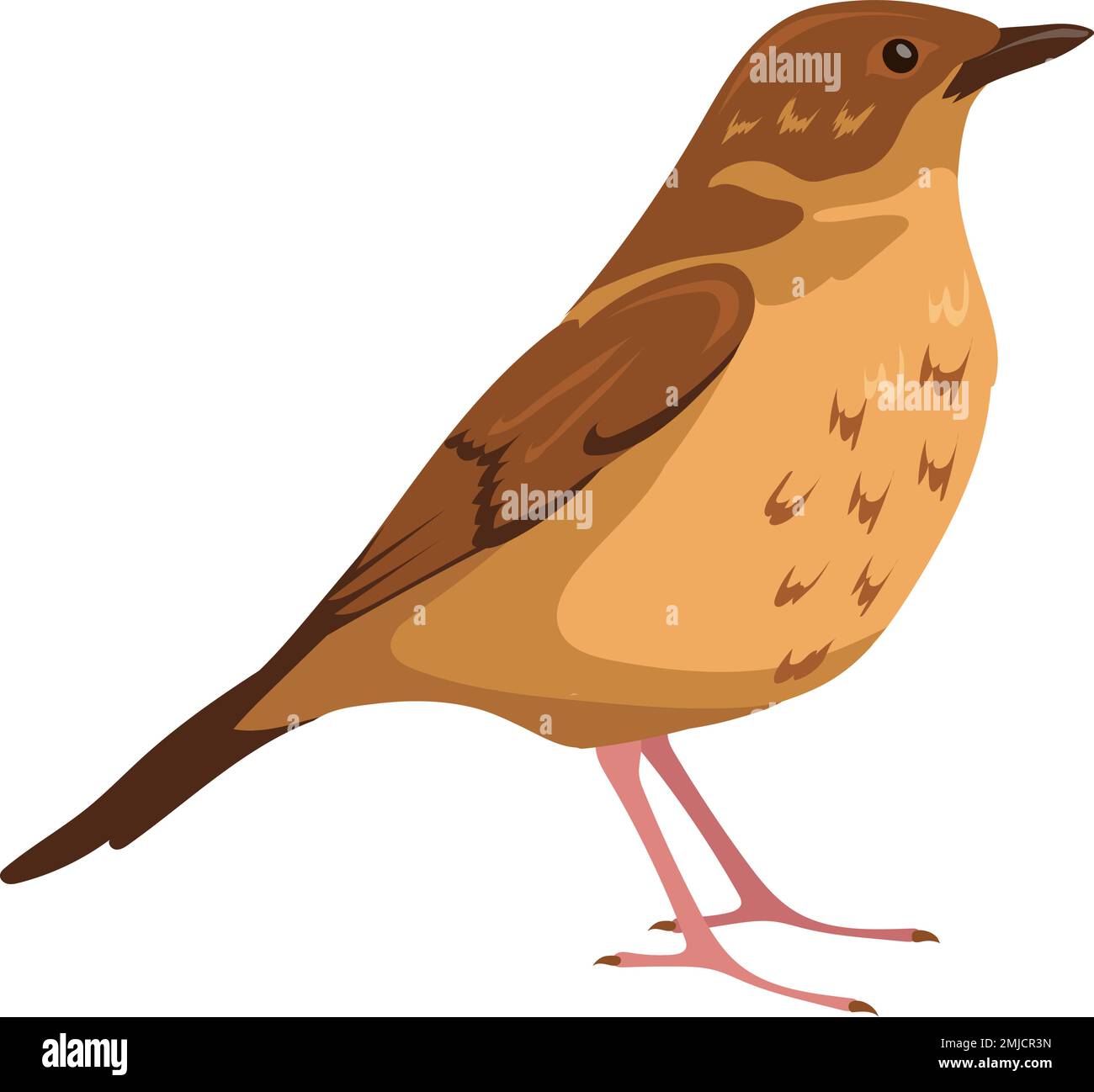 Drossel vogel Stock-Vektorgrafiken kaufen - Alamy