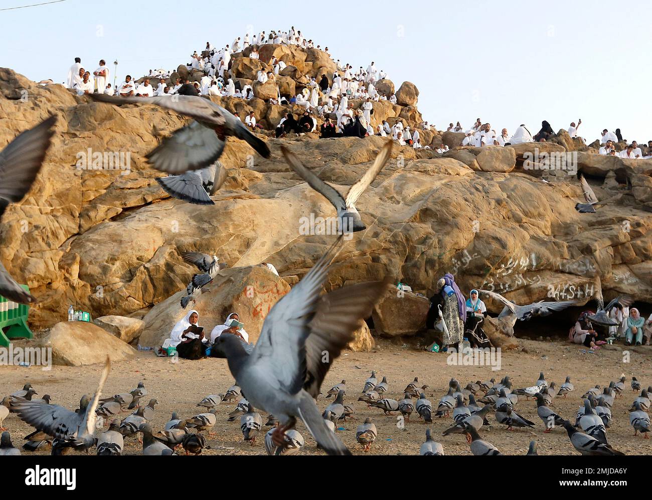 Pigeons fly as Muslim pilgrims pray on a rocky hill known as Mountain ...