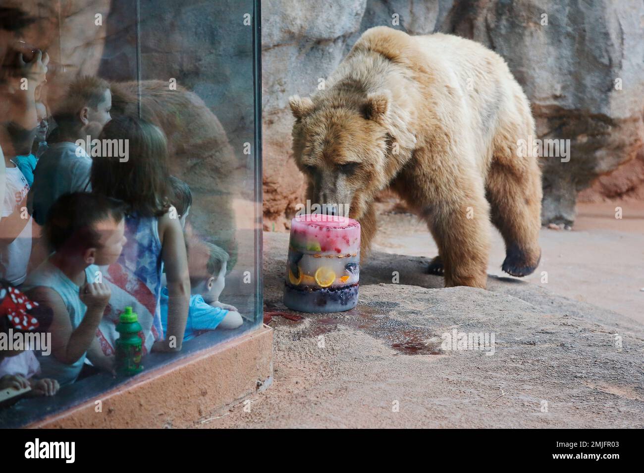 Zoo visitors watch as Will, one of the grizzly bears at the Oklahoma ...