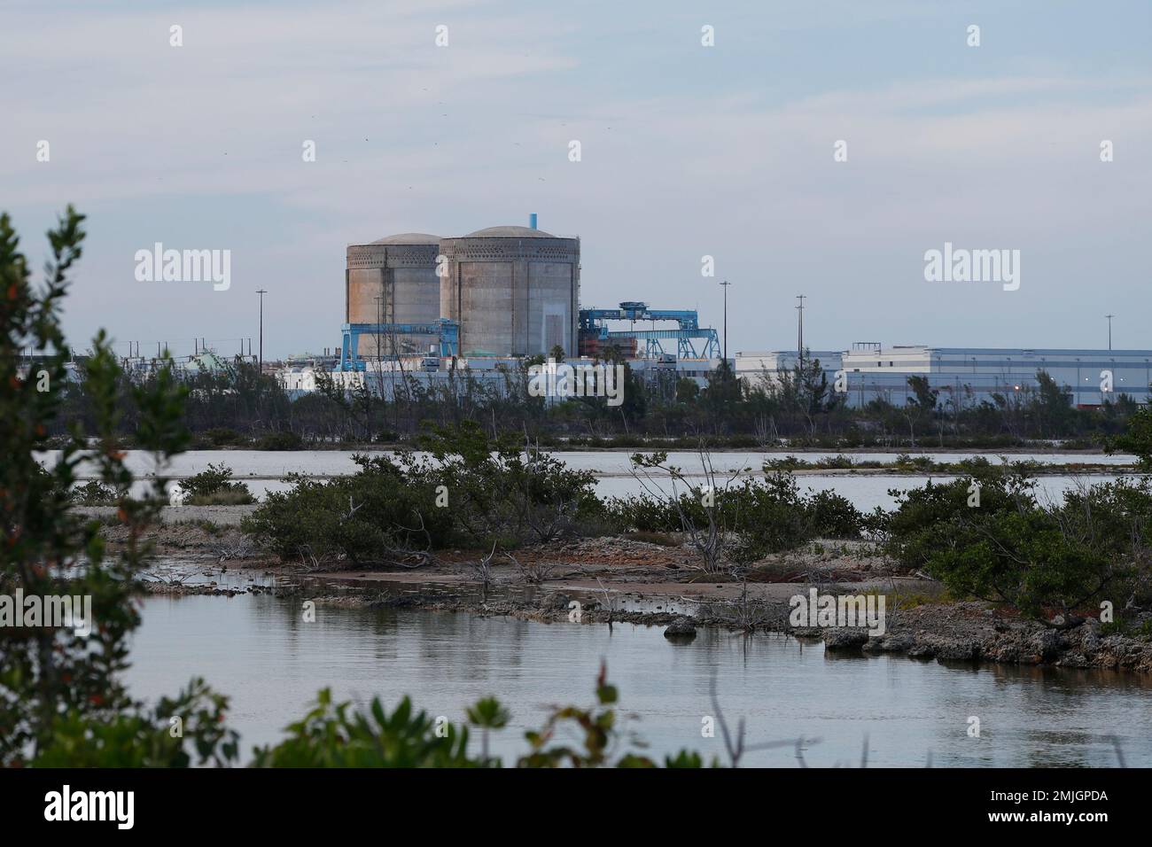 Cooling canals next to the Turkey Point Nuclear Generating Station are ...