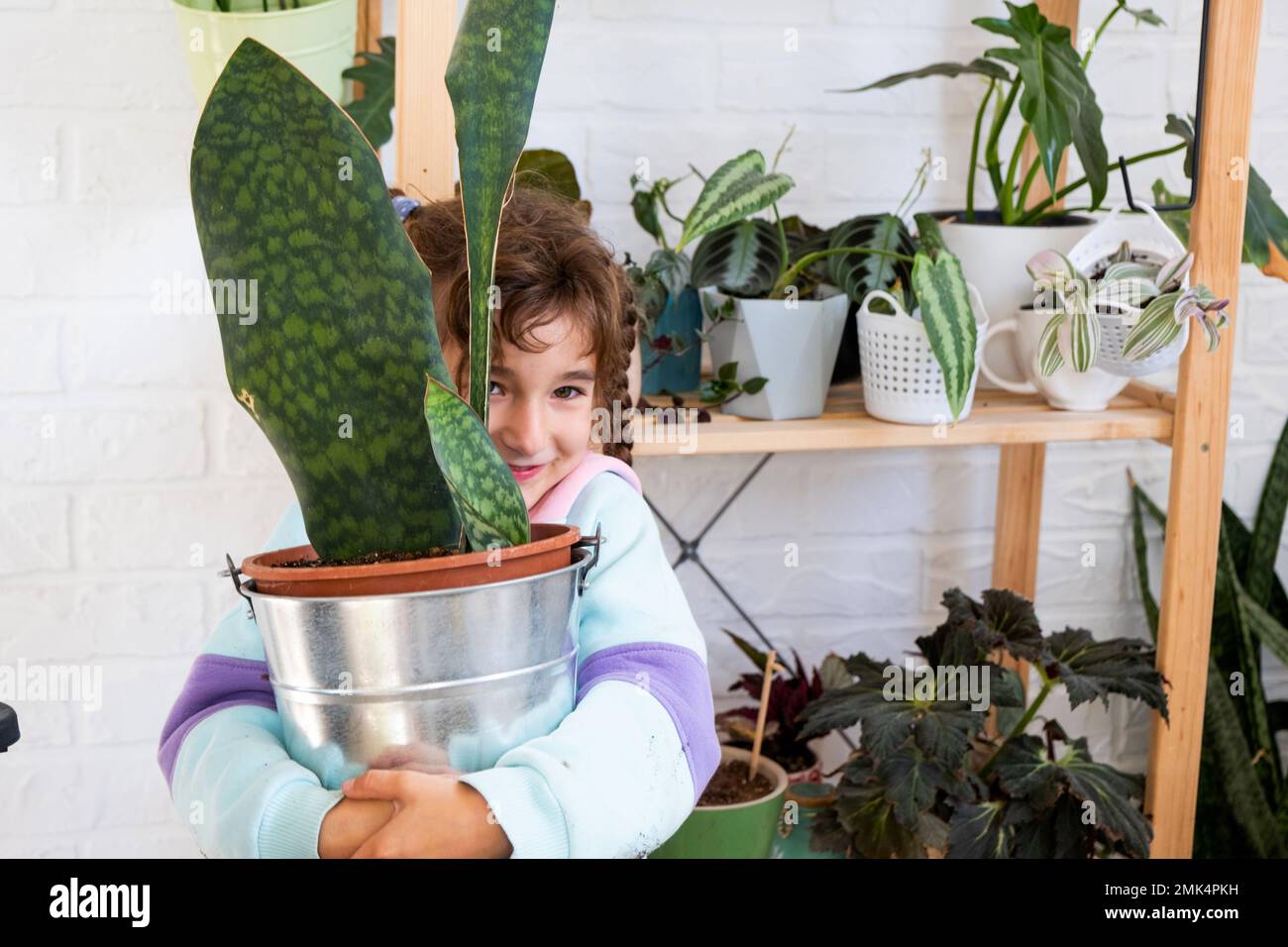 Das Mädchen kümmert sich freudig um heimische Pflanzen, pflanzt sie in ...