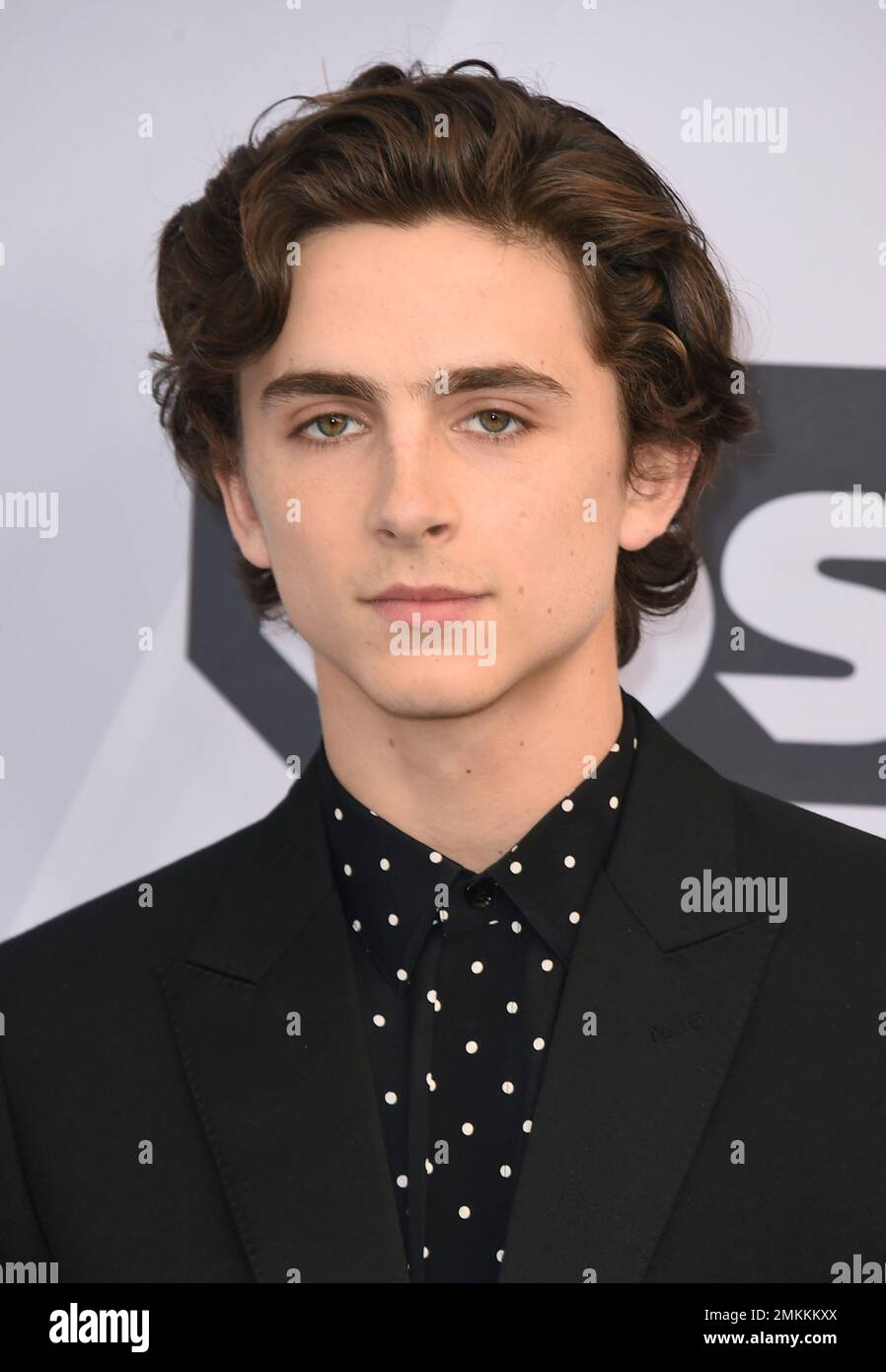 Timothee Chalamet arrives at the 25th annual Screen Actors Guild Awards ...