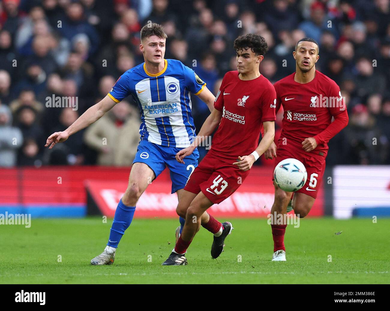 Stefan bajcetic aktion -Fotos und -Bildmaterial in hoher Auflösung – Alamy