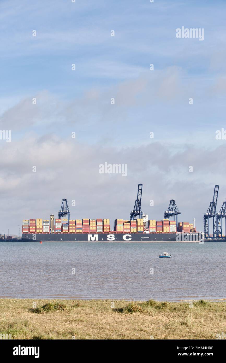 Msc apolline -Fotos und -Bildmaterial in hoher Auflösung – Alamy