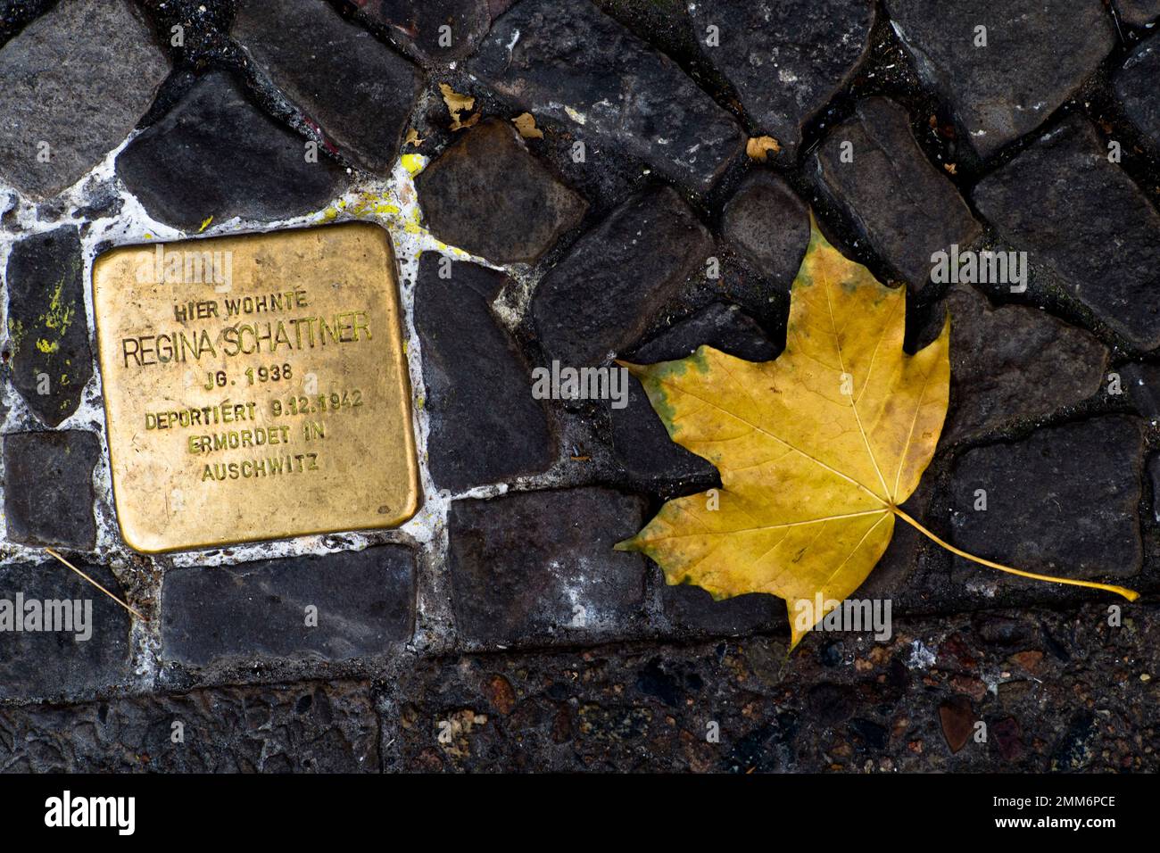 A so-called 'Stolperstein' (stumbling stone), commemorating Regina ...