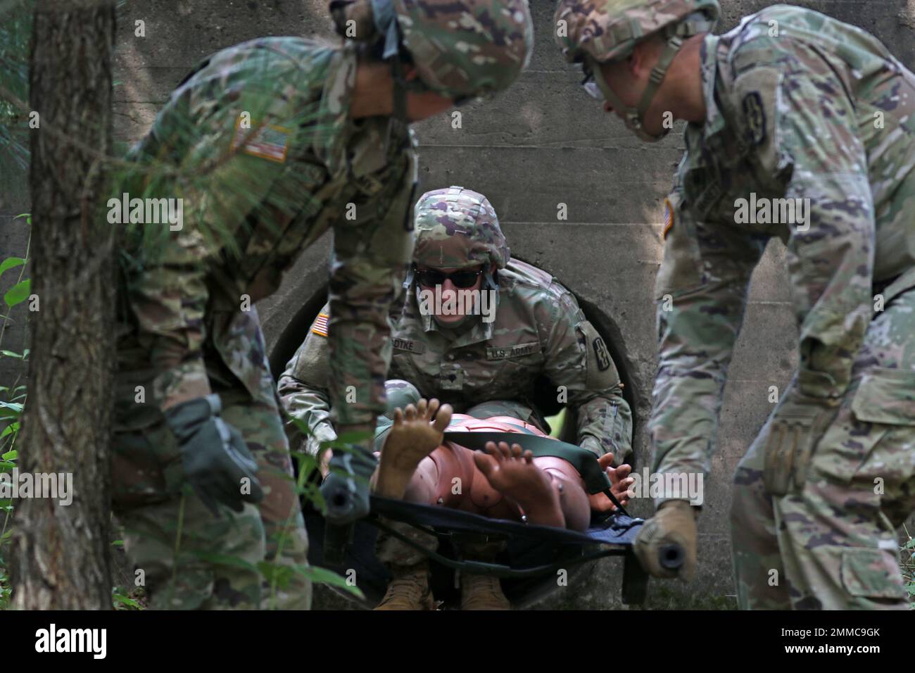 16 spcs -Fotos und -Bildmaterial in hoher Auflösung – Alamy