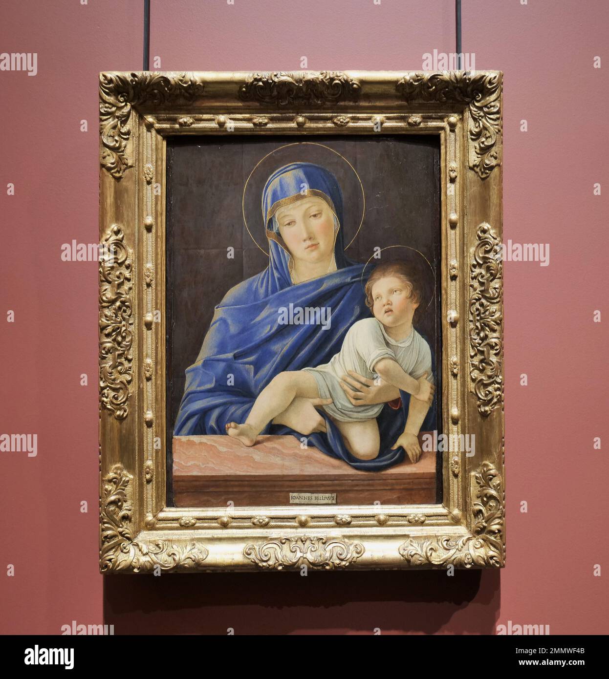 Gallerie dell accademia bellini -Fotos und -Bildmaterial in hoher Auflösung – Alamy