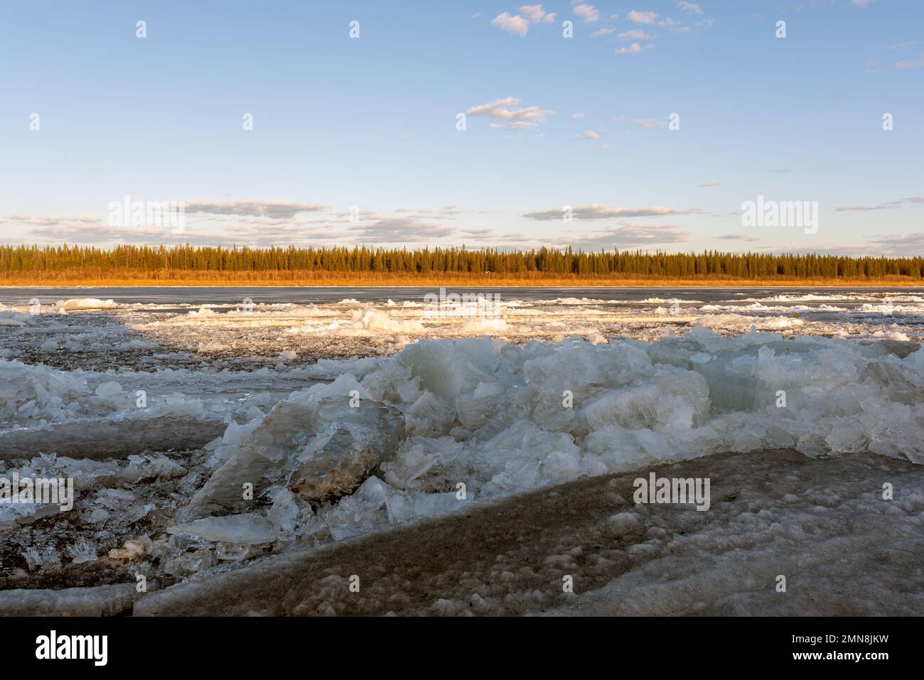Die letzten nadelförmigen Eisschollen schmelzen am Ufer im Schatten vor ...