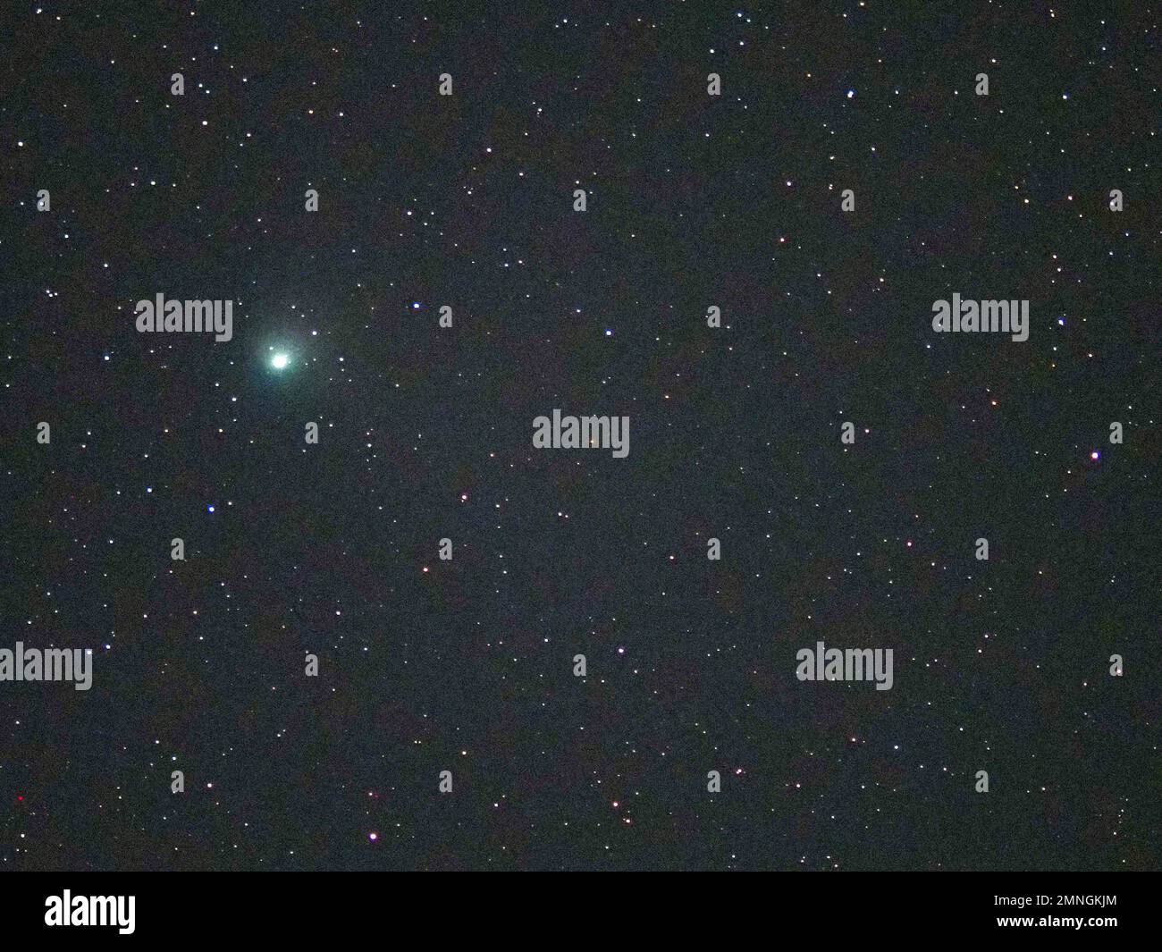 Sheerness, Kent, Großbritannien. 30. Januar 2023. Der seltene „Grüne ...