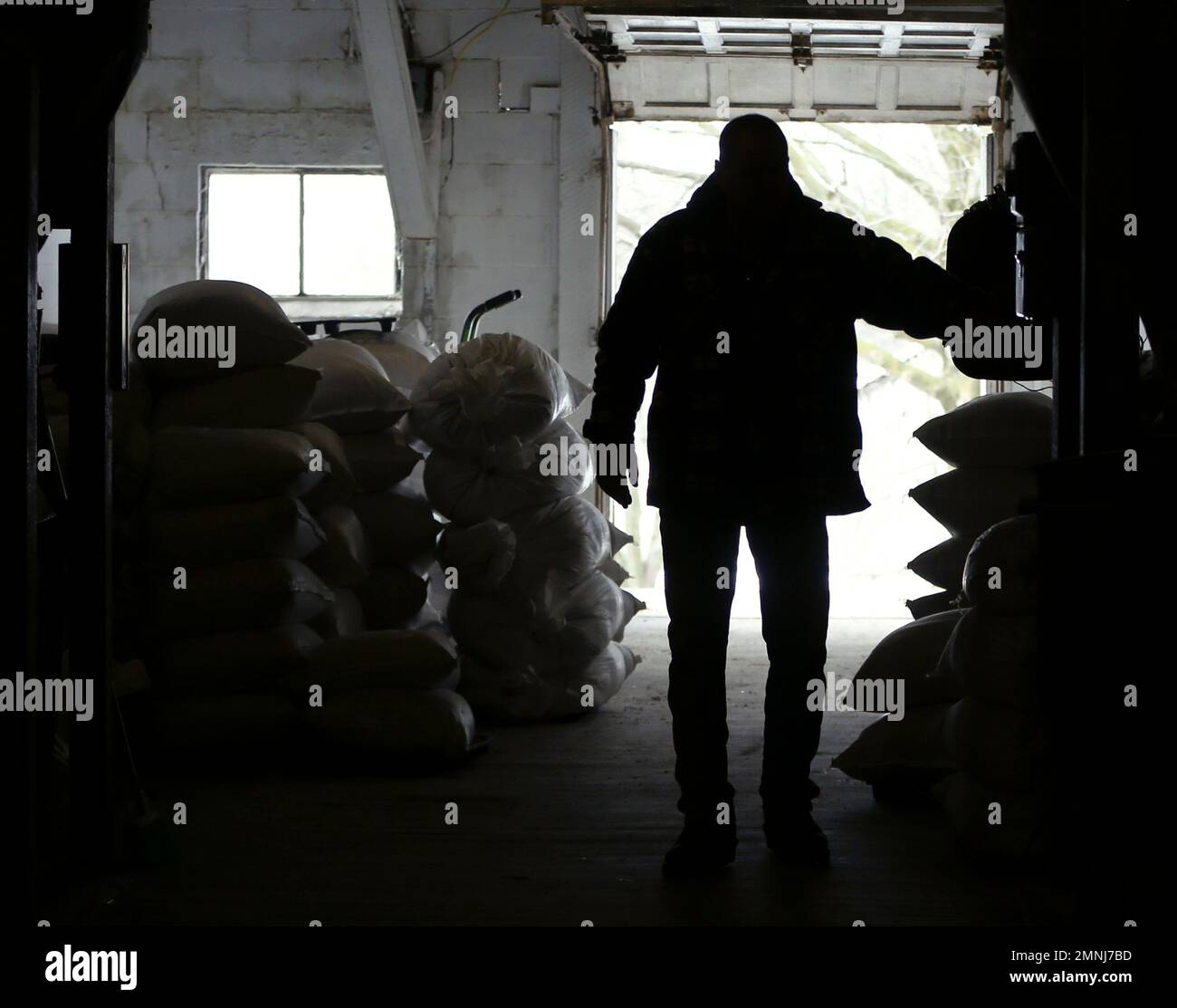 Richard McNulty of Sankey's Feed Mill walks through stacks of feed ...