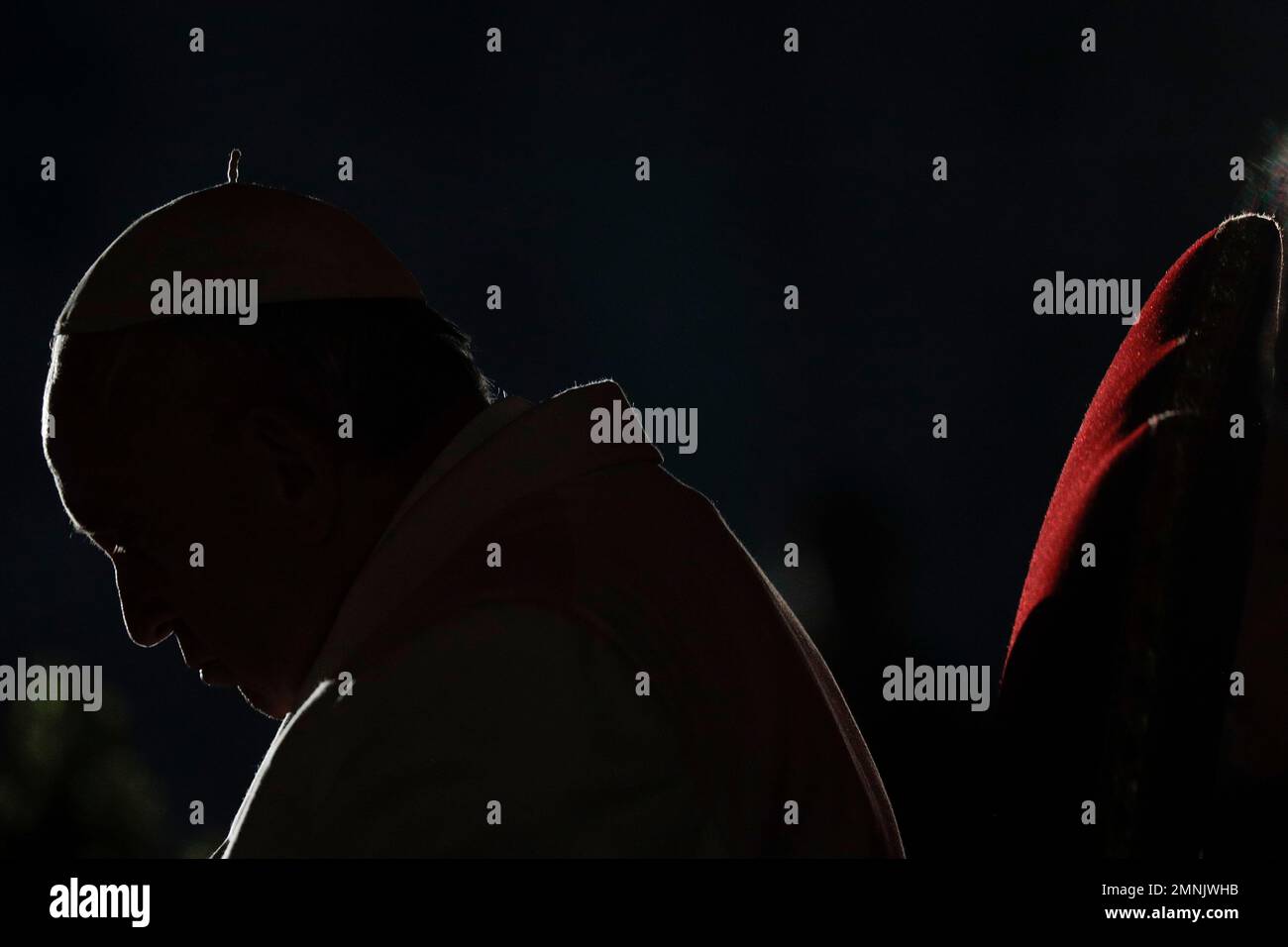 Pope Francis presides over the Via Crucis (Way of the Cross) torchlight ...