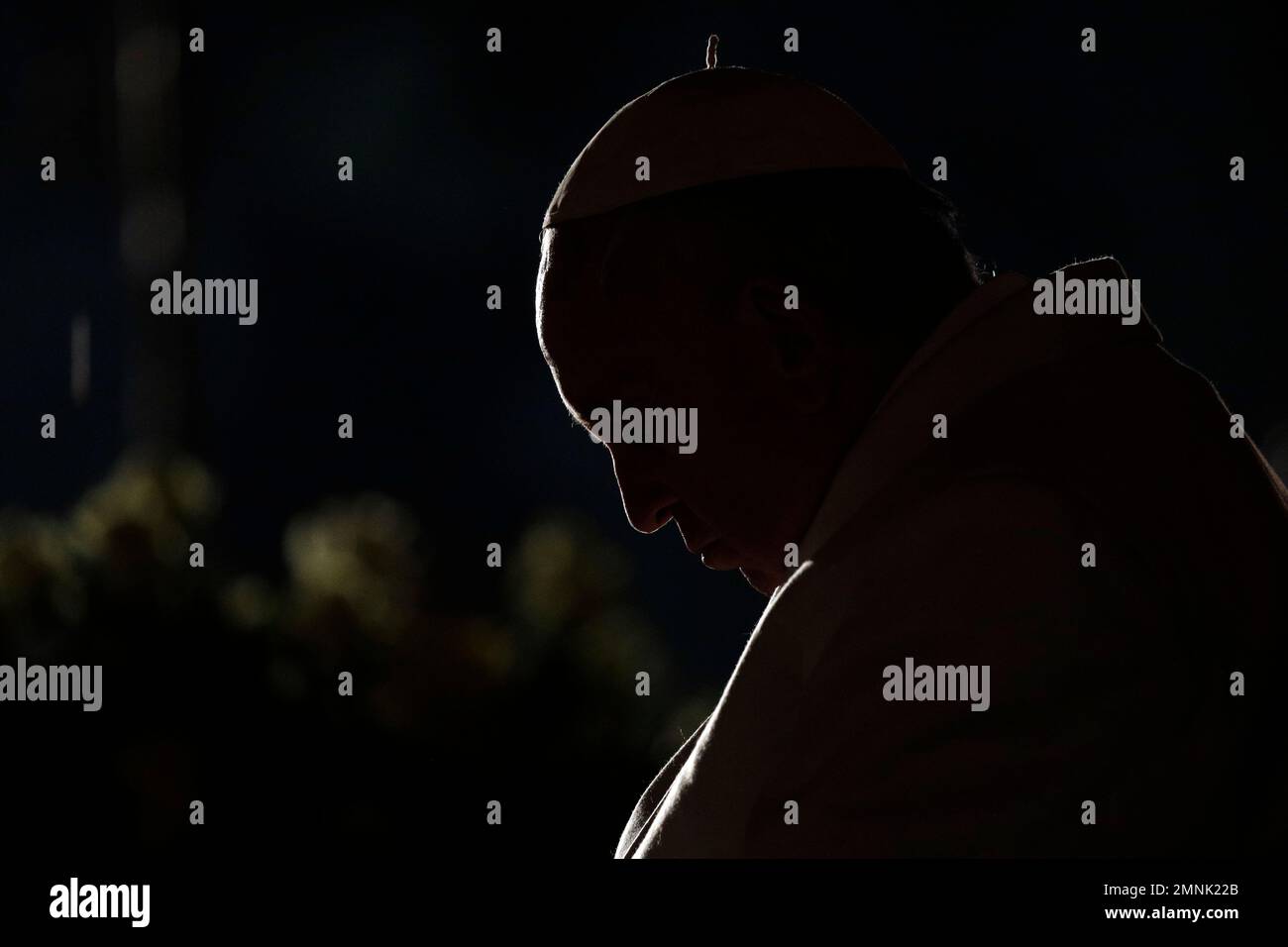 Pope Francis presides over the Via Crucis (Way of the Cross) torchlight ...