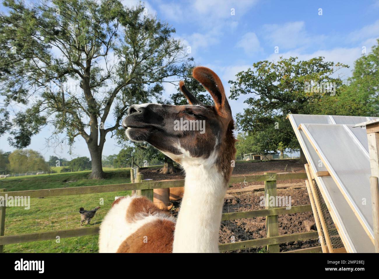Bauerngruppen -Fotos und -Bildmaterial in hoher Auflösung – Alamy