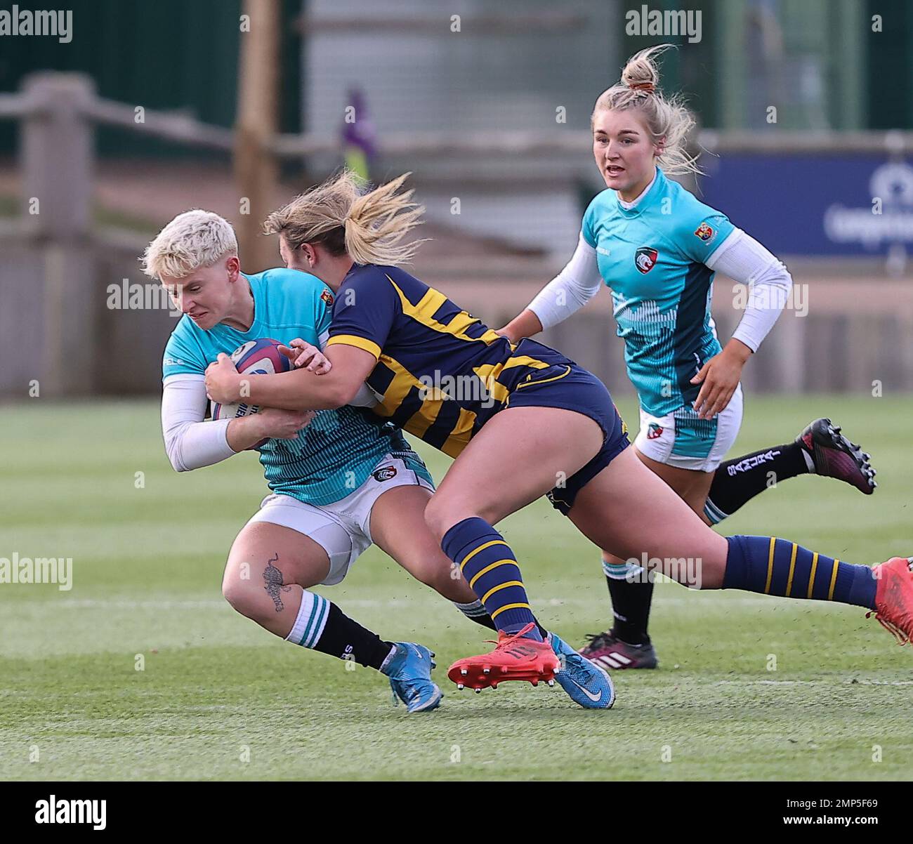 Molly draycott -Fotos und -Bildmaterial in hoher Auflösung – Alamy