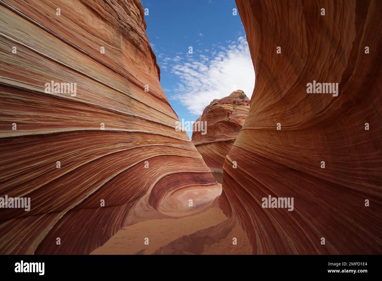Foto para fondo de pantalla -Fotos und -Bildmaterial in hoher Auflösung – Alamy