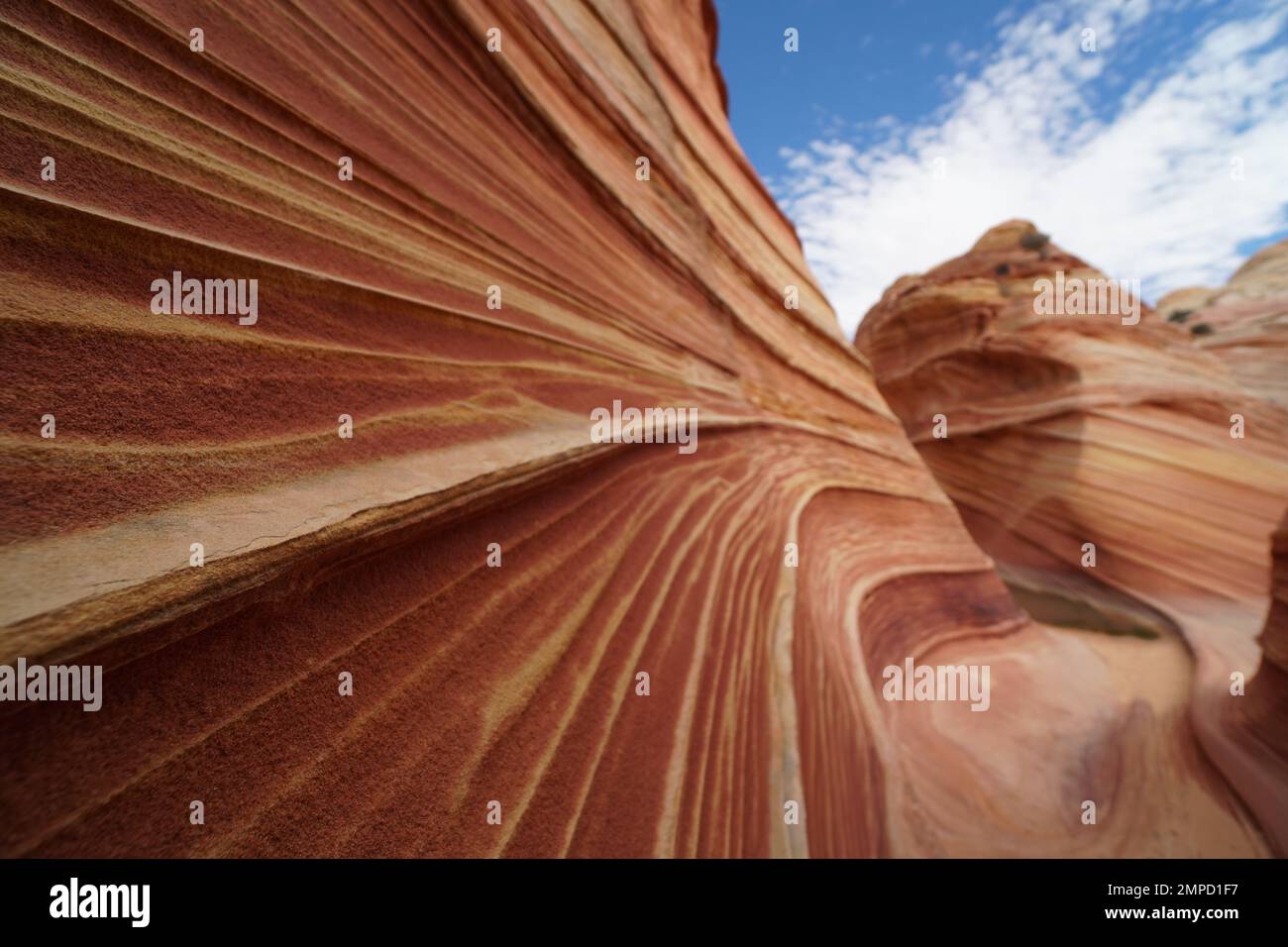 Foto para fondo de pantalla -Fotos und -Bildmaterial in hoher Auflösung – Alamy