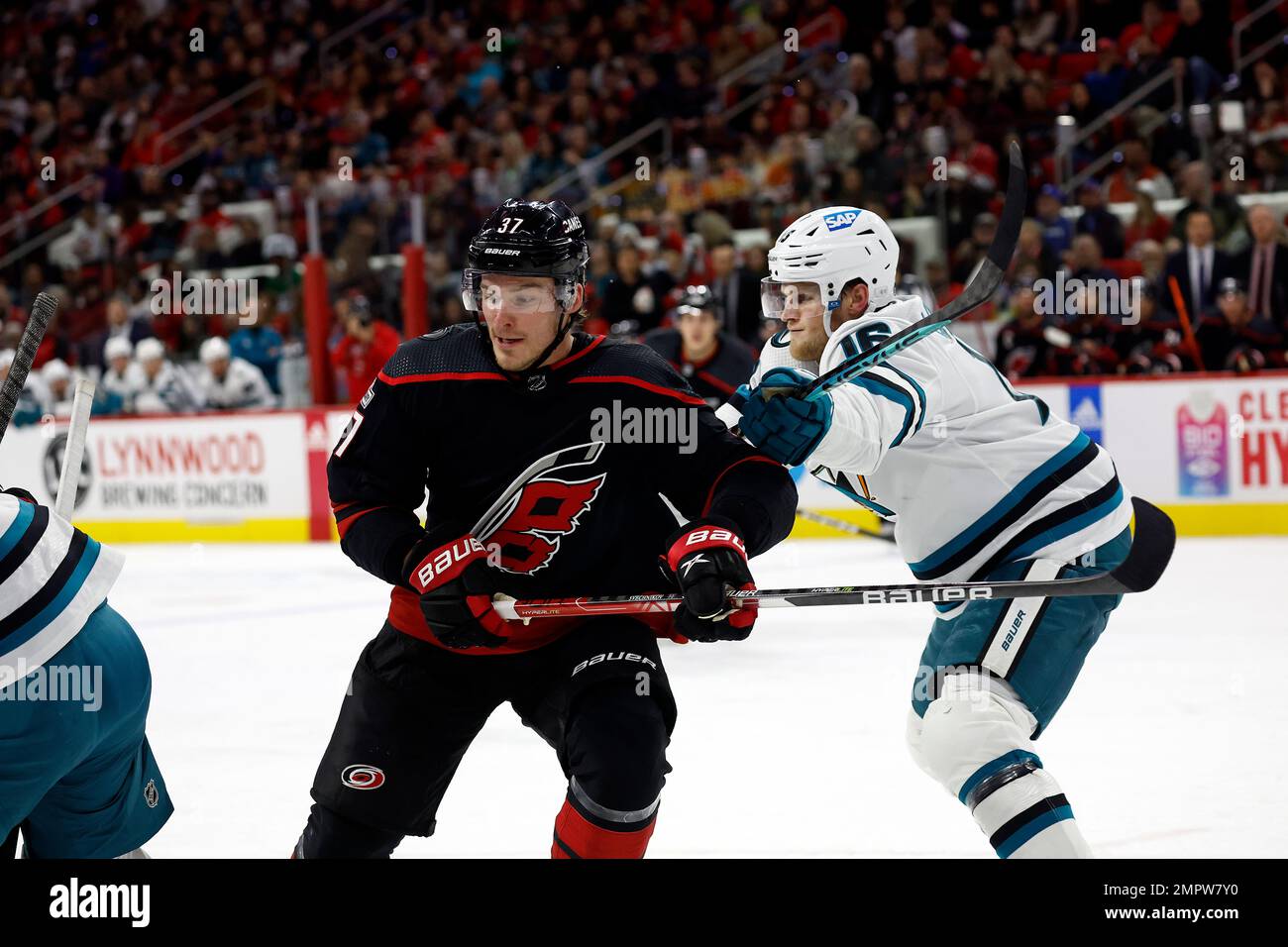 Carolina Hurricanes' Andrei Svechnikov (37) battles with San Jose ...