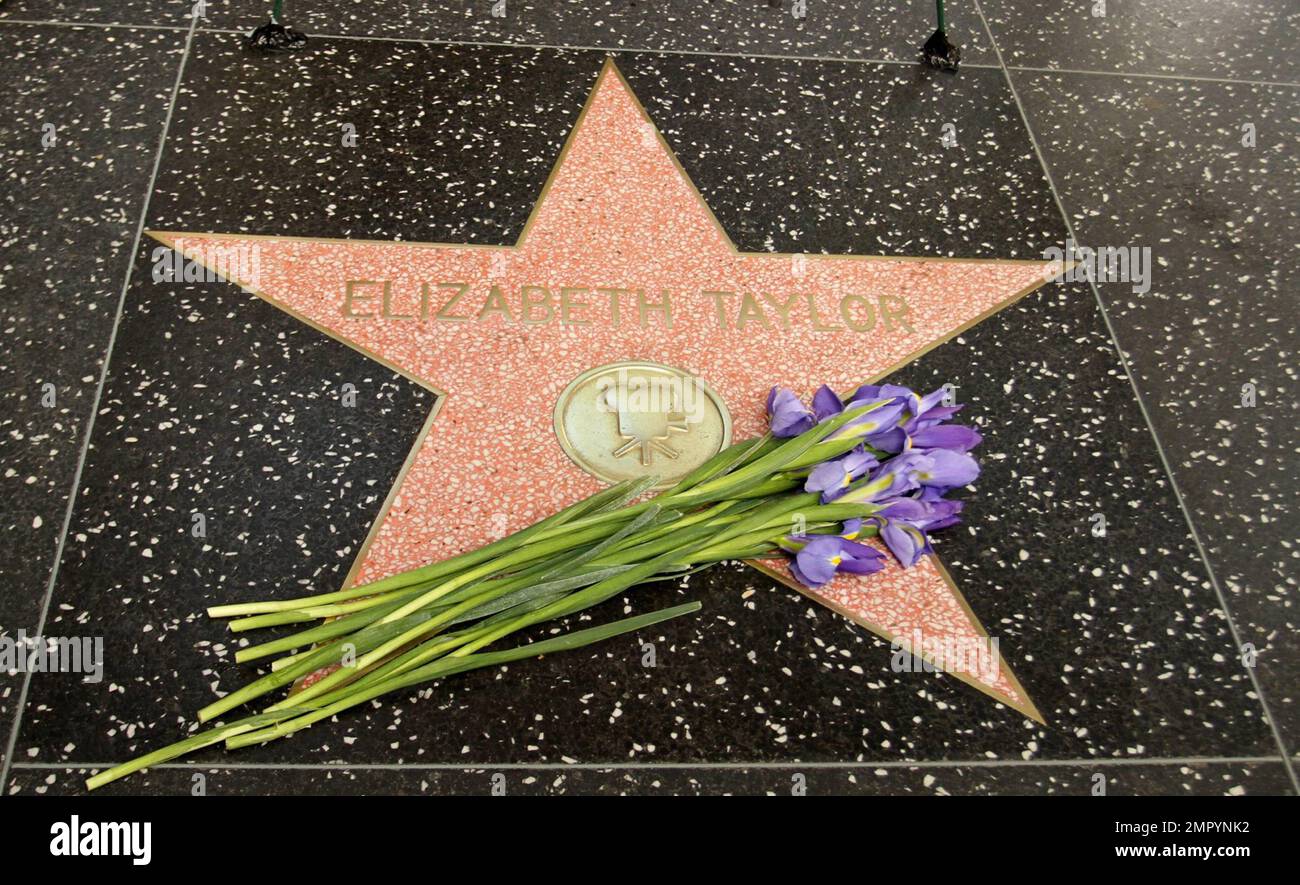 Nicht lange nach ihrem Tod wurde ein Kranz auf den Hollywood Walk of ...