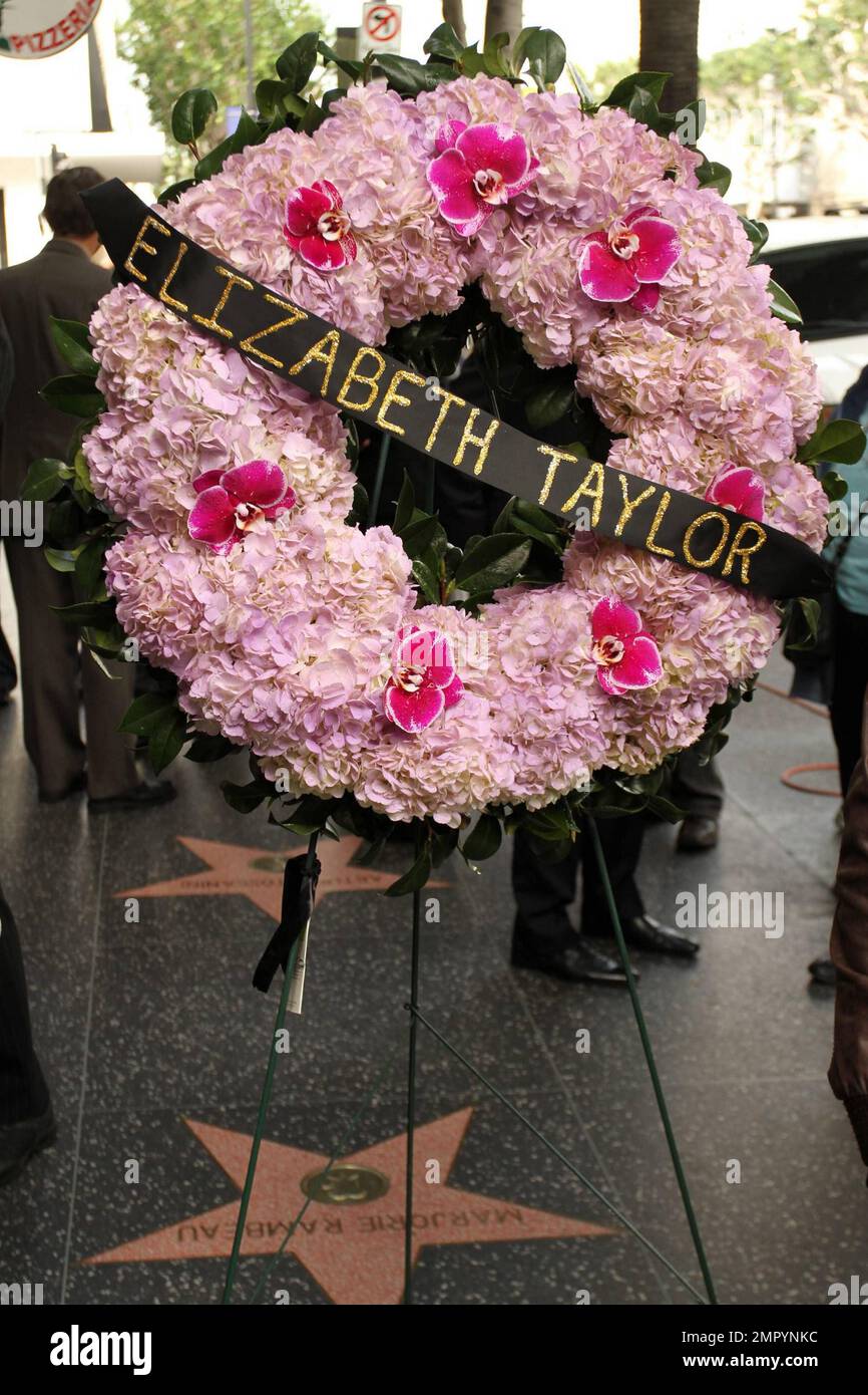 Nicht lange nach ihrem Tod wurde ein Kranz auf den Hollywood Walk of ...