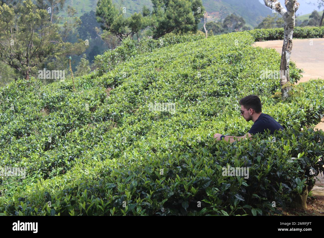 Das leben der menschheit -Fotos und -Bildmaterial in hoher Auflösung ...