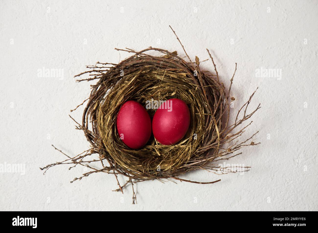 Große Eier im Vogelnest auf weißem Hintergrund. Die Farbe der Eier ist ...