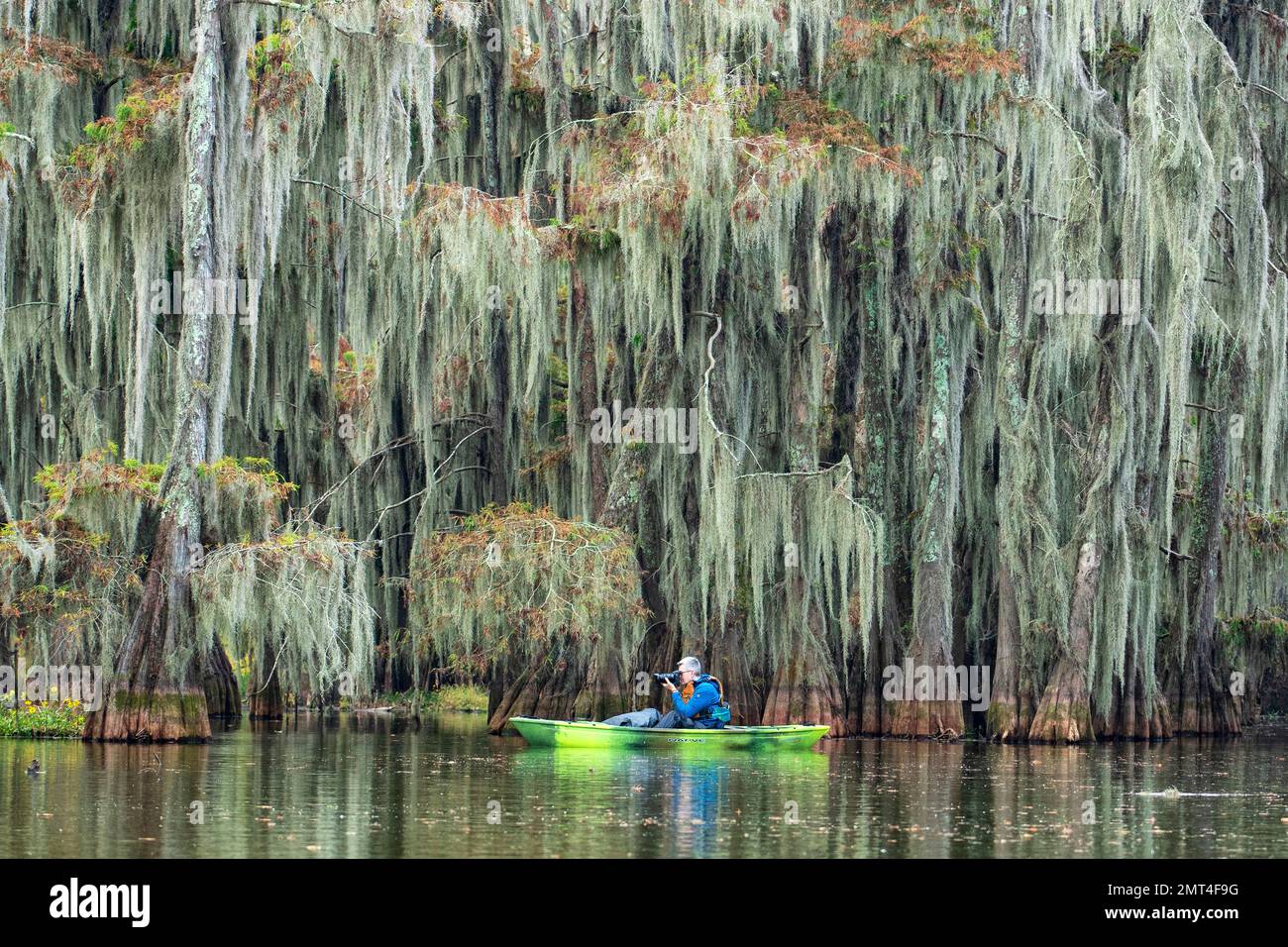 Thomas heitmar -Fotos und -Bildmaterial in hoher Auflösung – Alamy