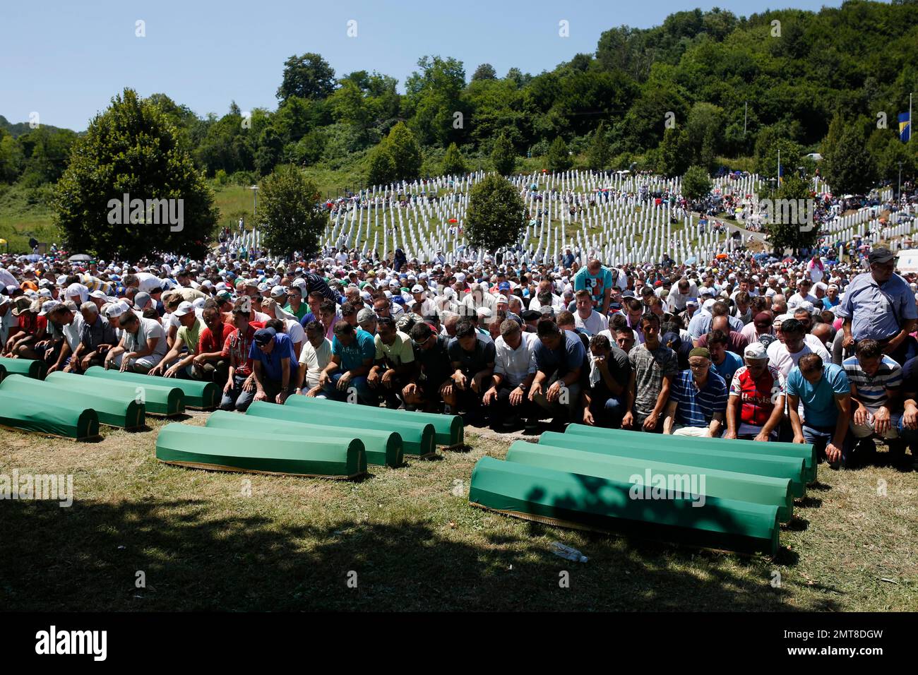 Bosnian Muslim people pray in front of coffins during a funeral ...