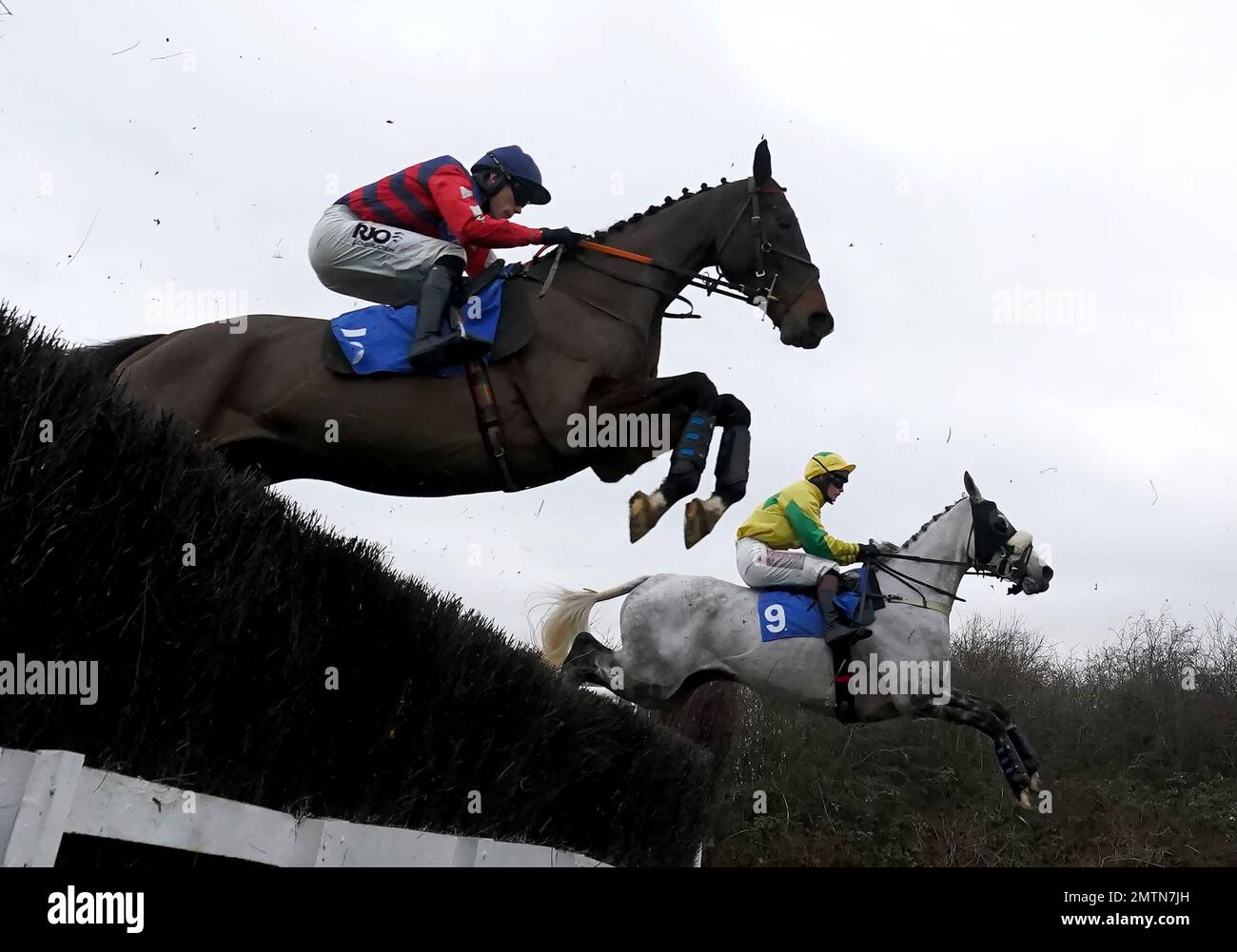 Alice davies -Fotos und -Bildmaterial in hoher Auflösung – Alamy